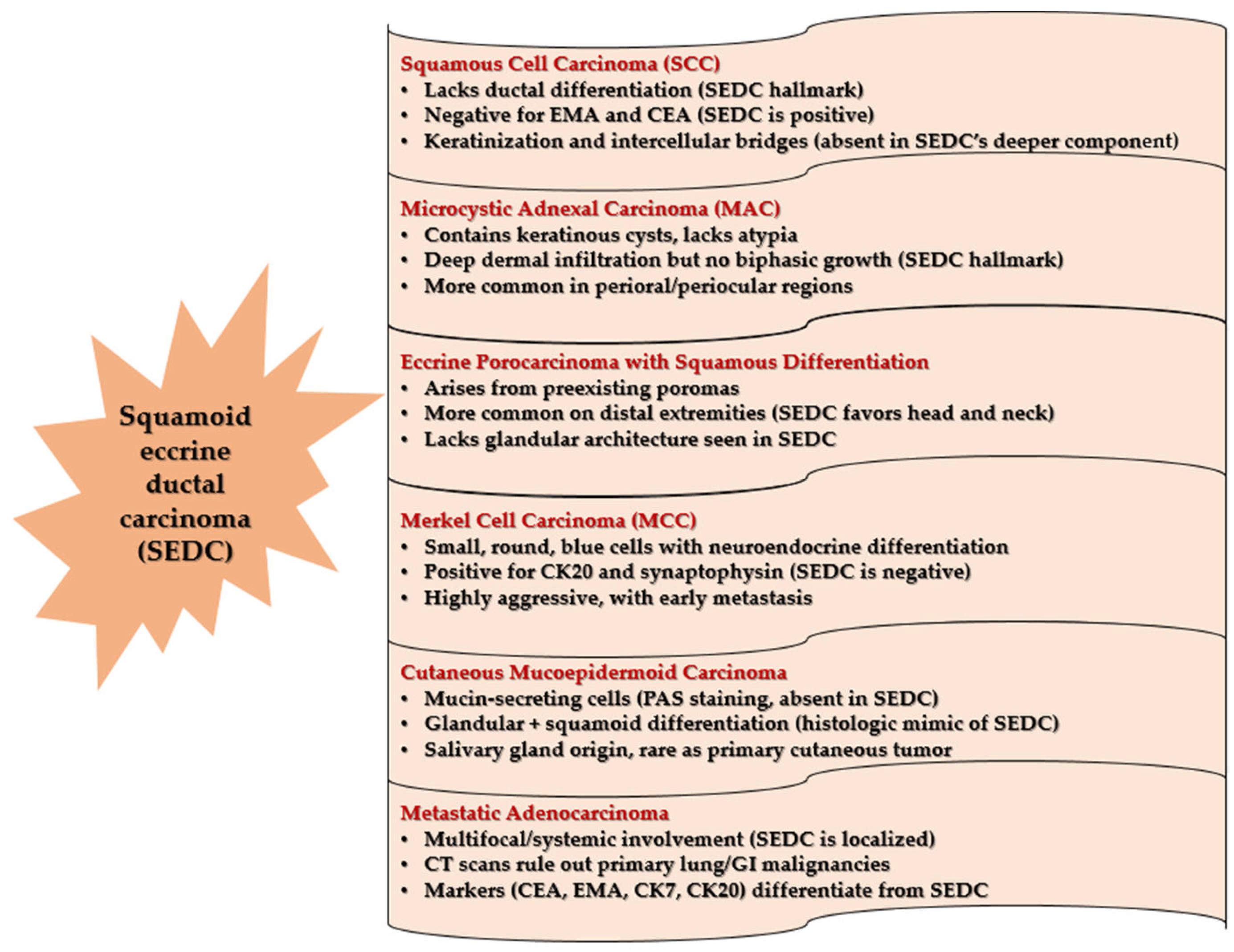 Aggressive Squamoid Eccrine Ductal Carcinoma of the Face: A Rare and ...