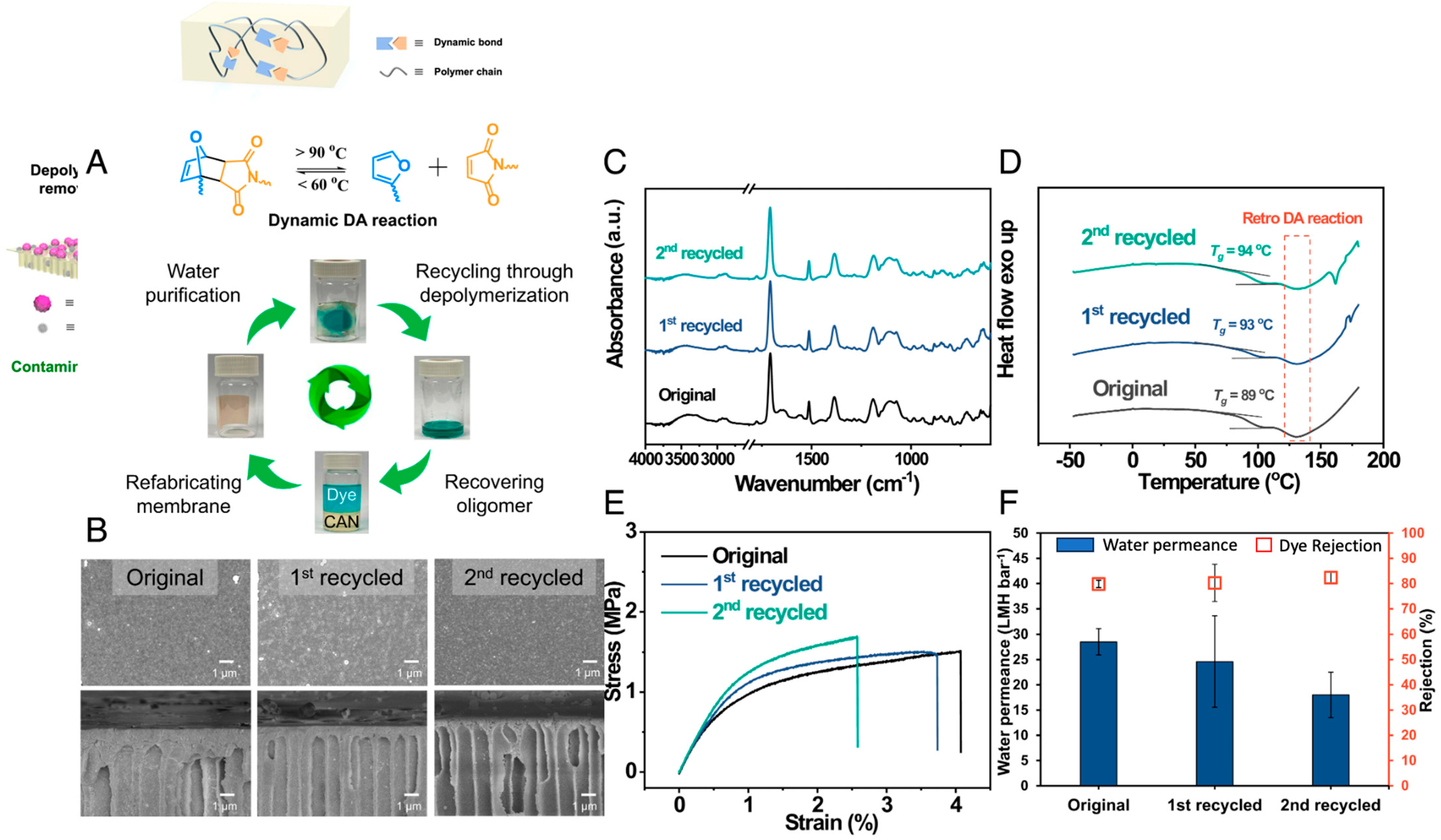 Sustainability in Membrane Technology: Membrane Recycling and ...