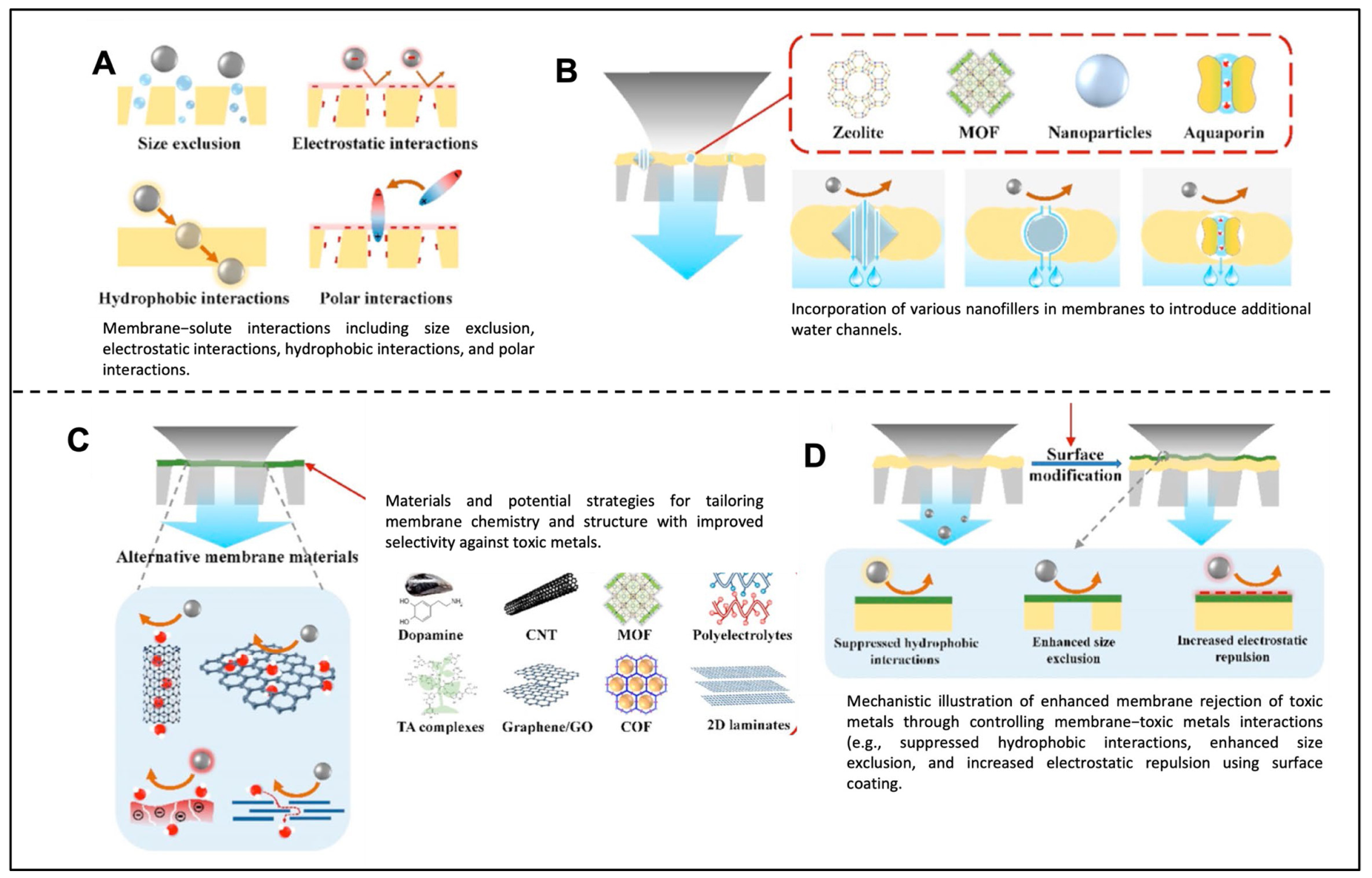 Advancements in Mixed-Matrix Membranes for Various Separation ...