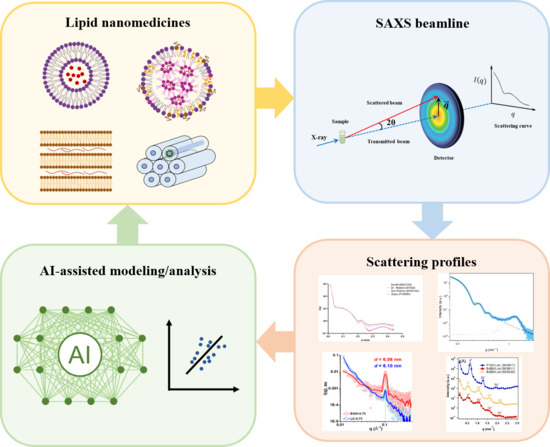 Probing Membrane Structure of Lipid Nanomedicines Using Solution Small ...