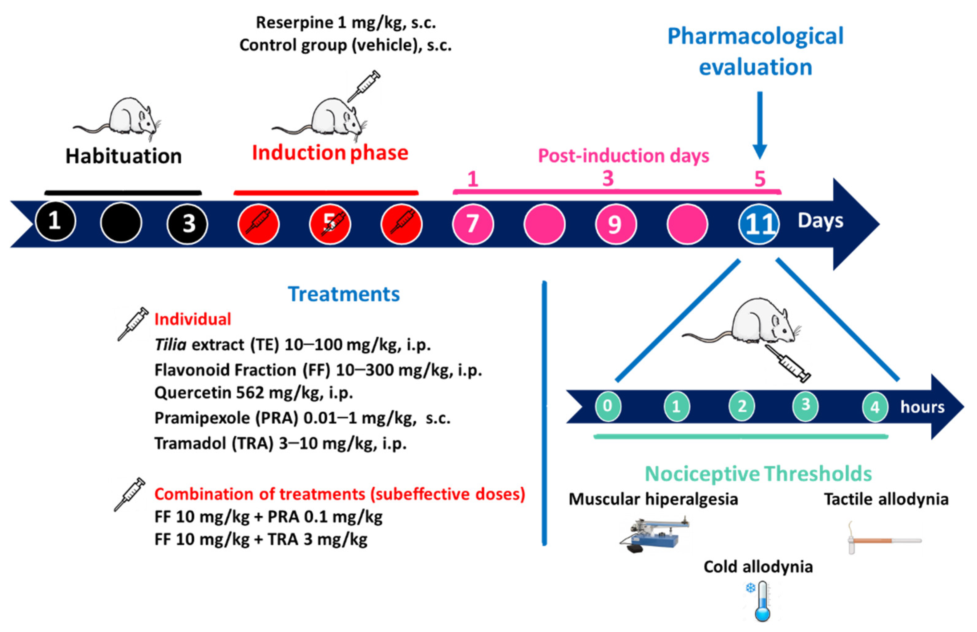 Pharmacological Interaction of Quercetin Derivatives of Tilia americana ...