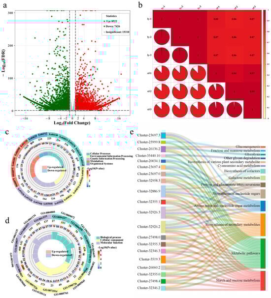 Multi-Omics Decoding of Potential Microbial–Genetic Synergy Underlying ...