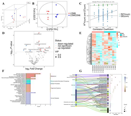 Metabolomics and Transcriptomics Reveal the Effects of Fermented Lycium ...