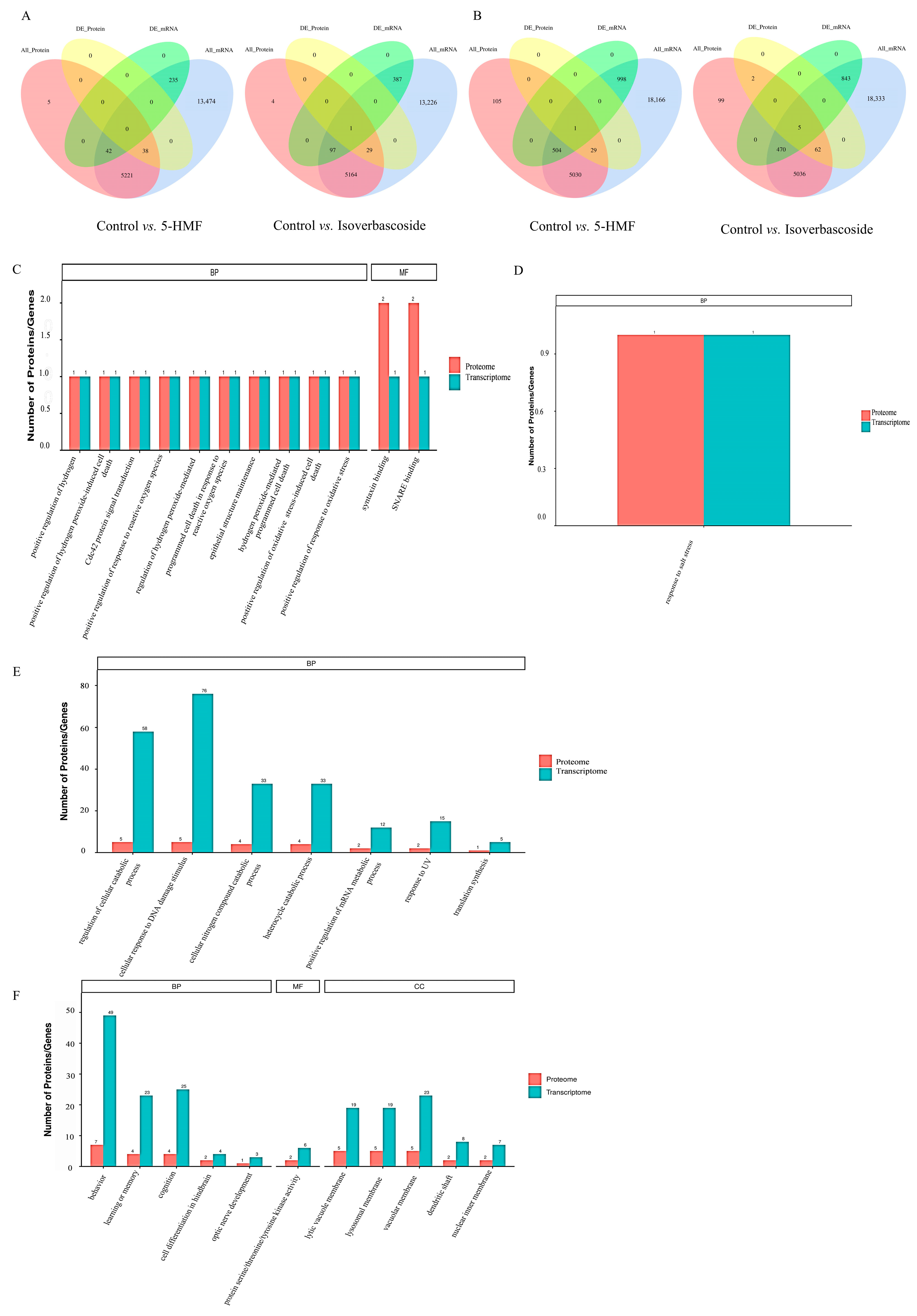 5-Hydroxymethylfurfural and Isoverbascoside Alleviate Oxidative Damage ...