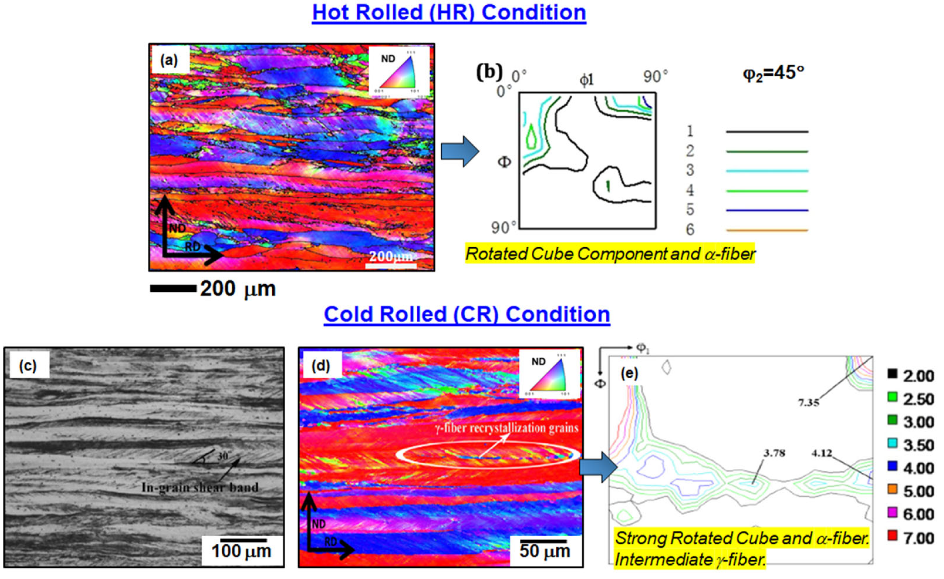 Evolution of Microstructure and Crystallographic Texture in Deformed ...
