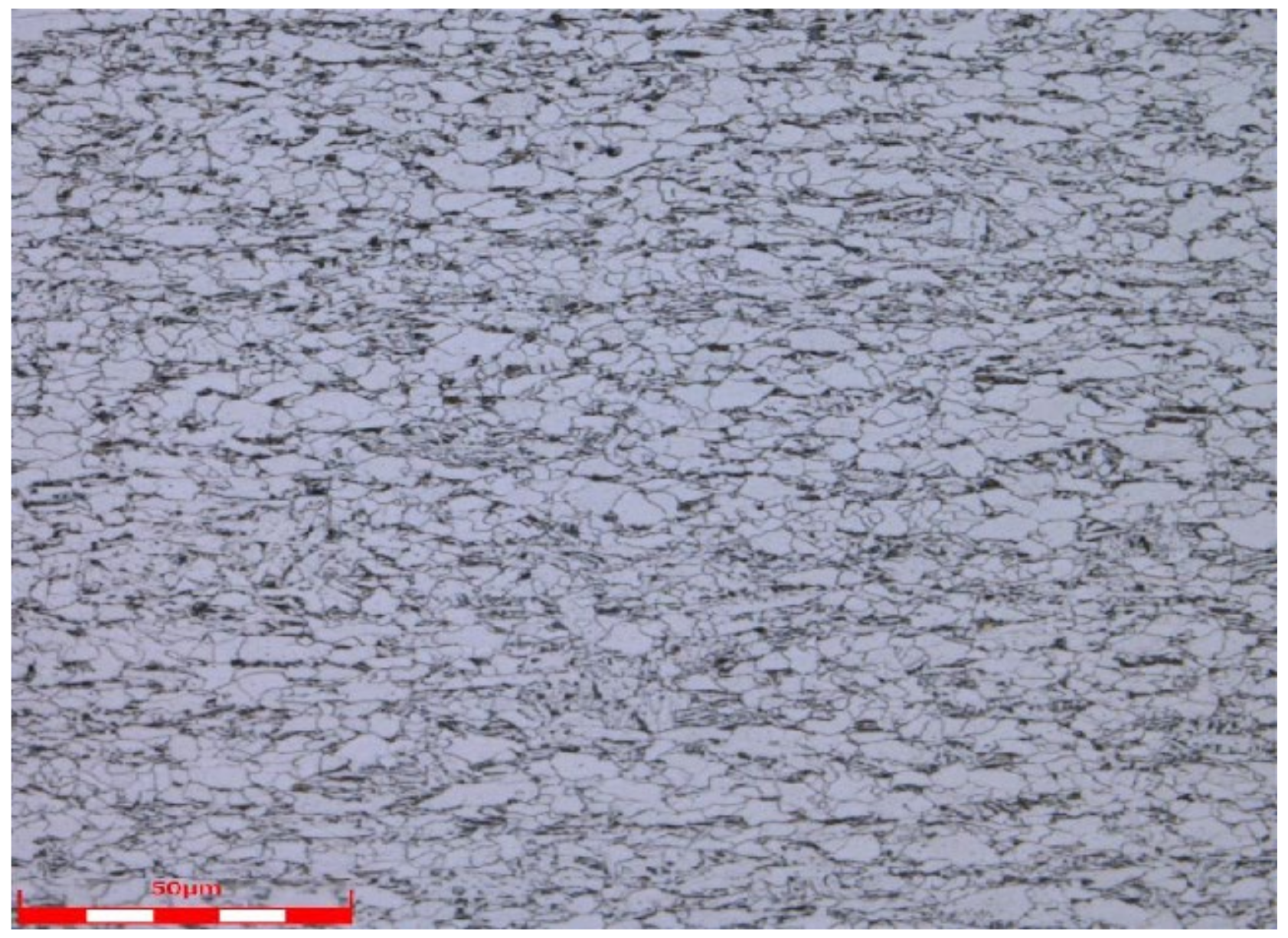 Study on Hydrogen Embrittlement Behavior of X65 Pipeline Steel in ...
