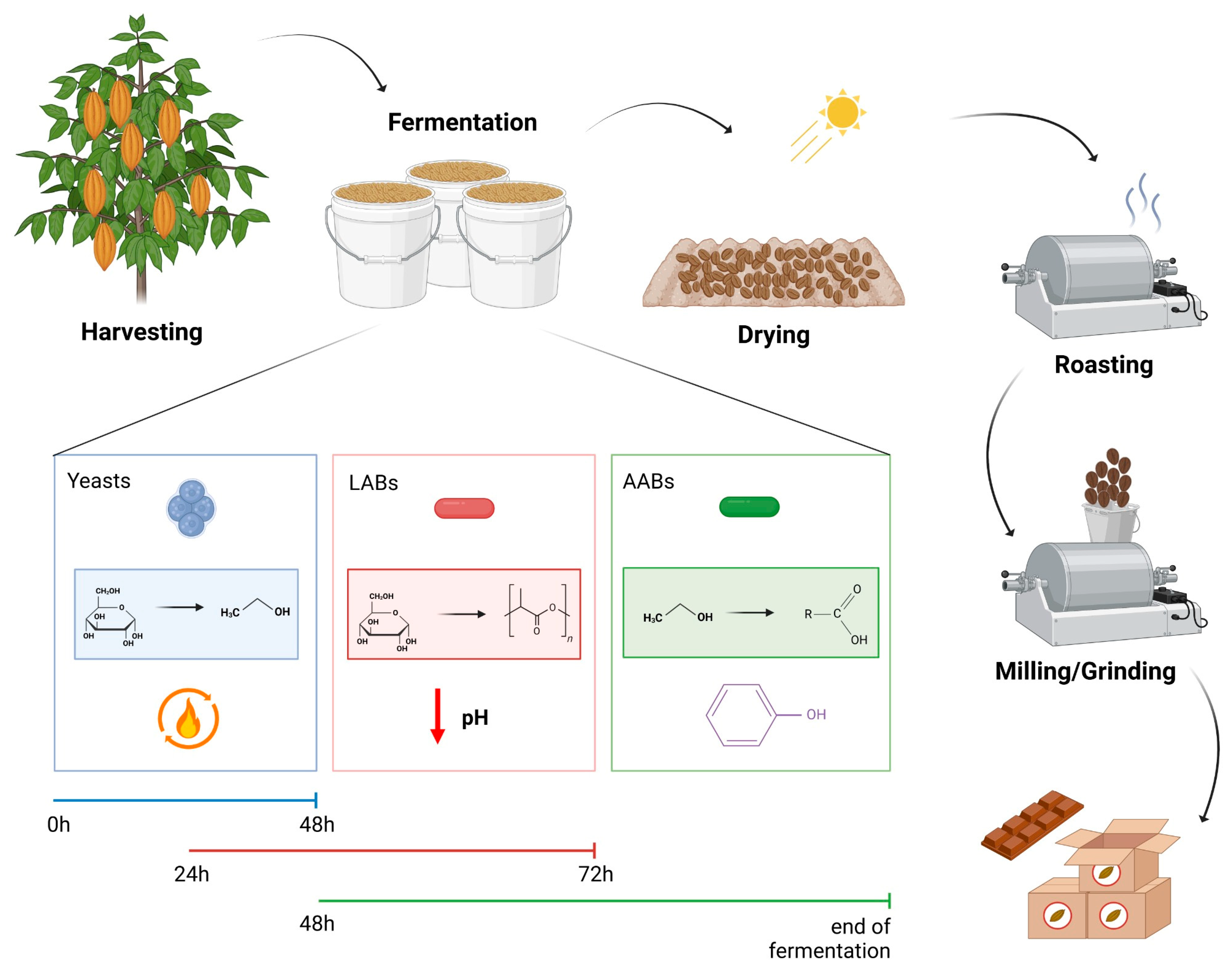The Role of Microbial Dynamics, Sensorial Compounds, and Producing ...