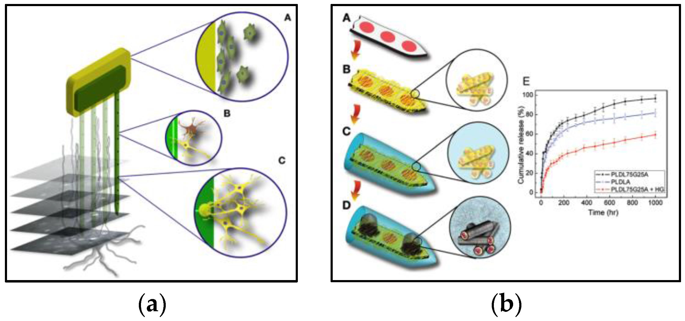 Neural Probes for Chronic Applications | MDPI