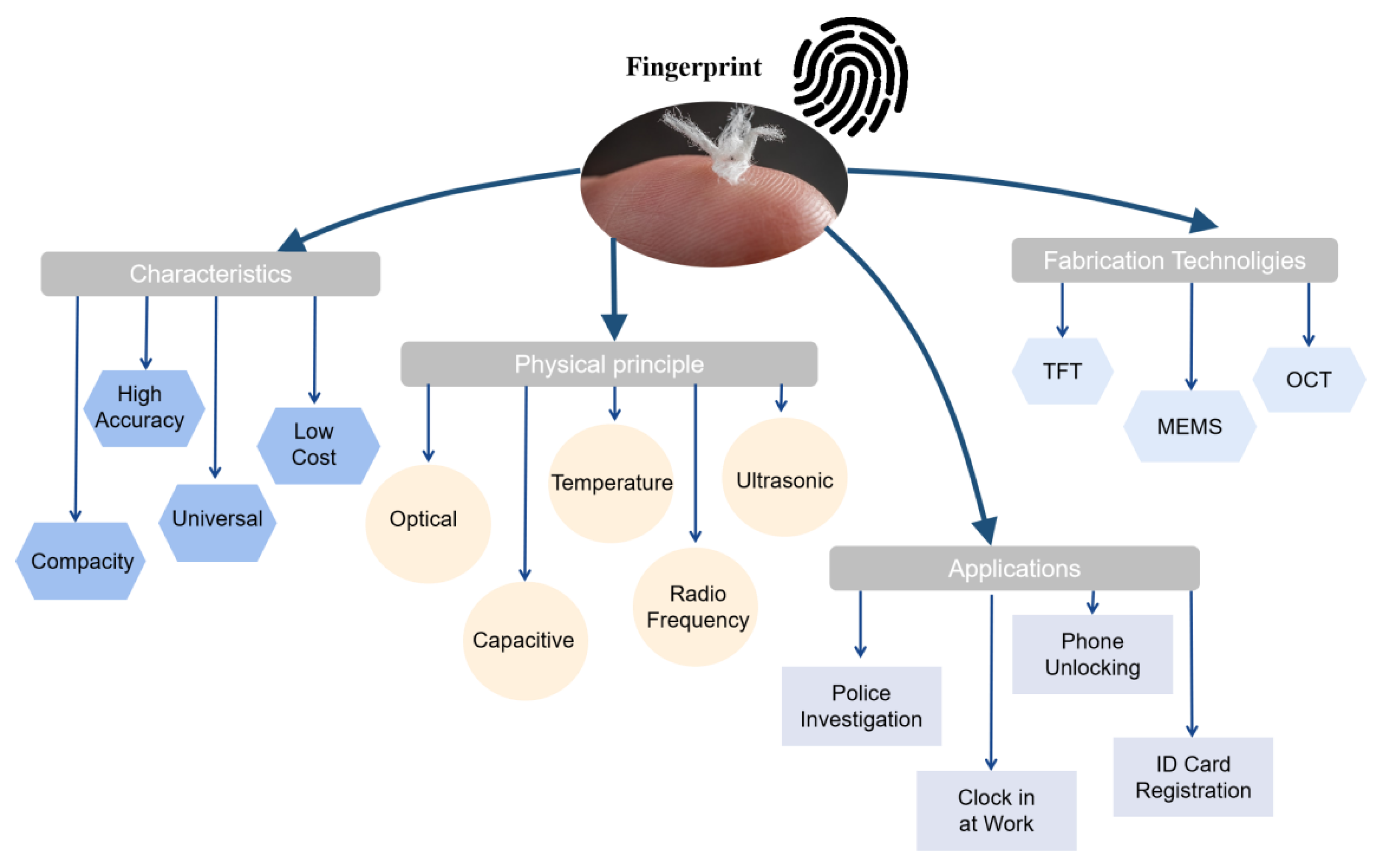 A Review of Fingerprint Sensors: Mechanism, Characteristics, and ...