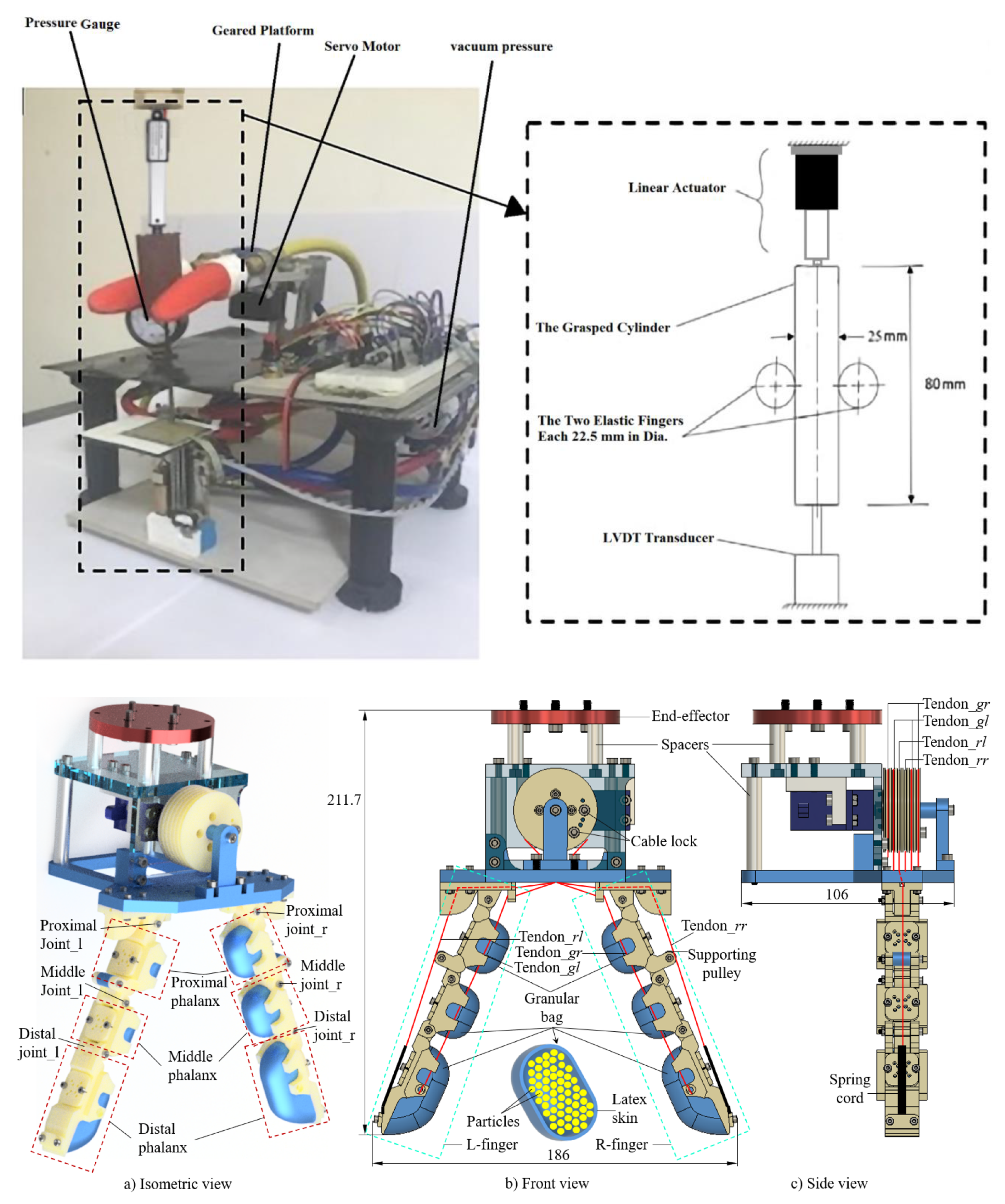 Bioinspiration and Biomimetic Art in Robotic Grippers | MDPI