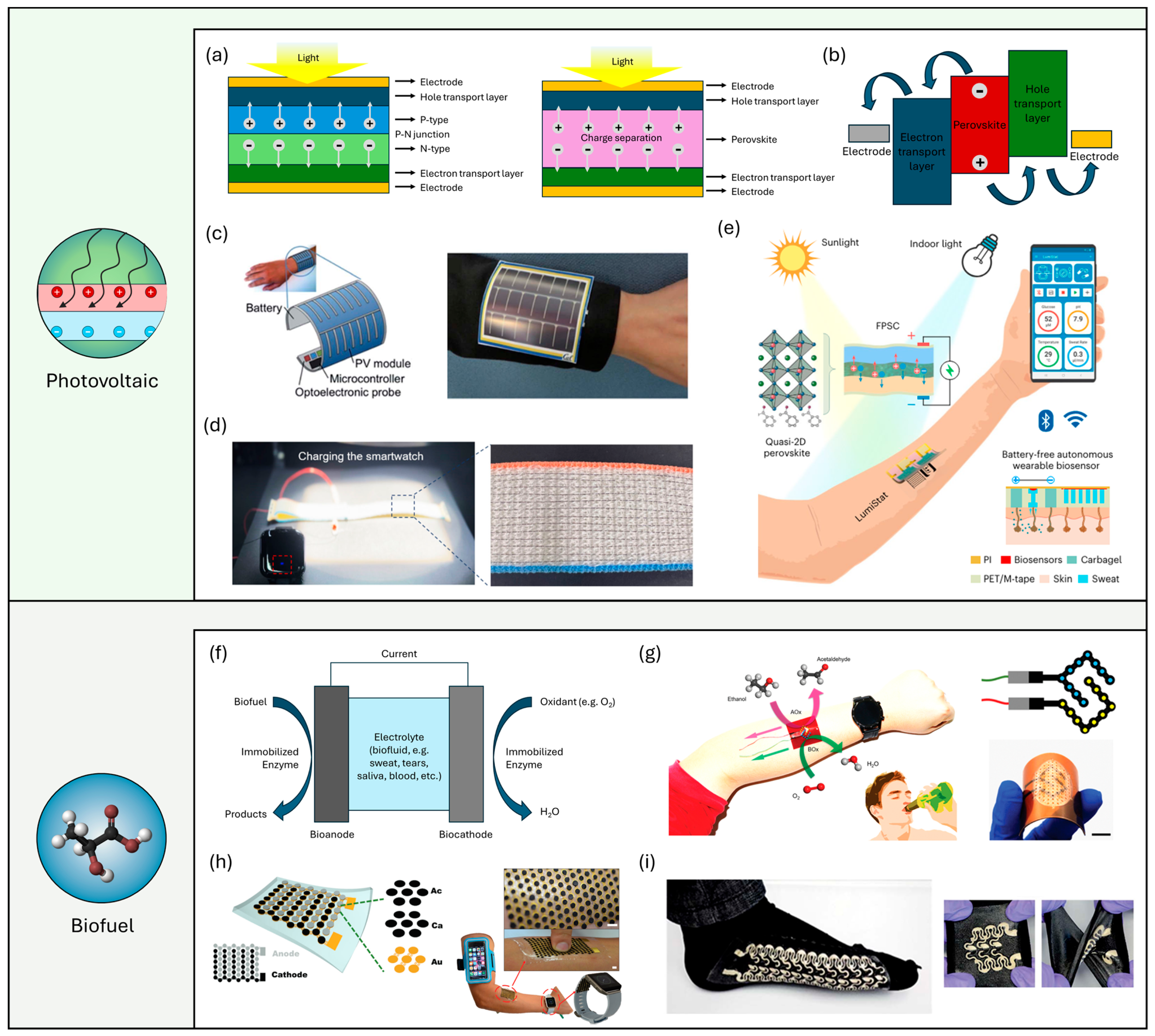 Advances in Energy Harvesting Technologies for Wearable Devices | MDPI