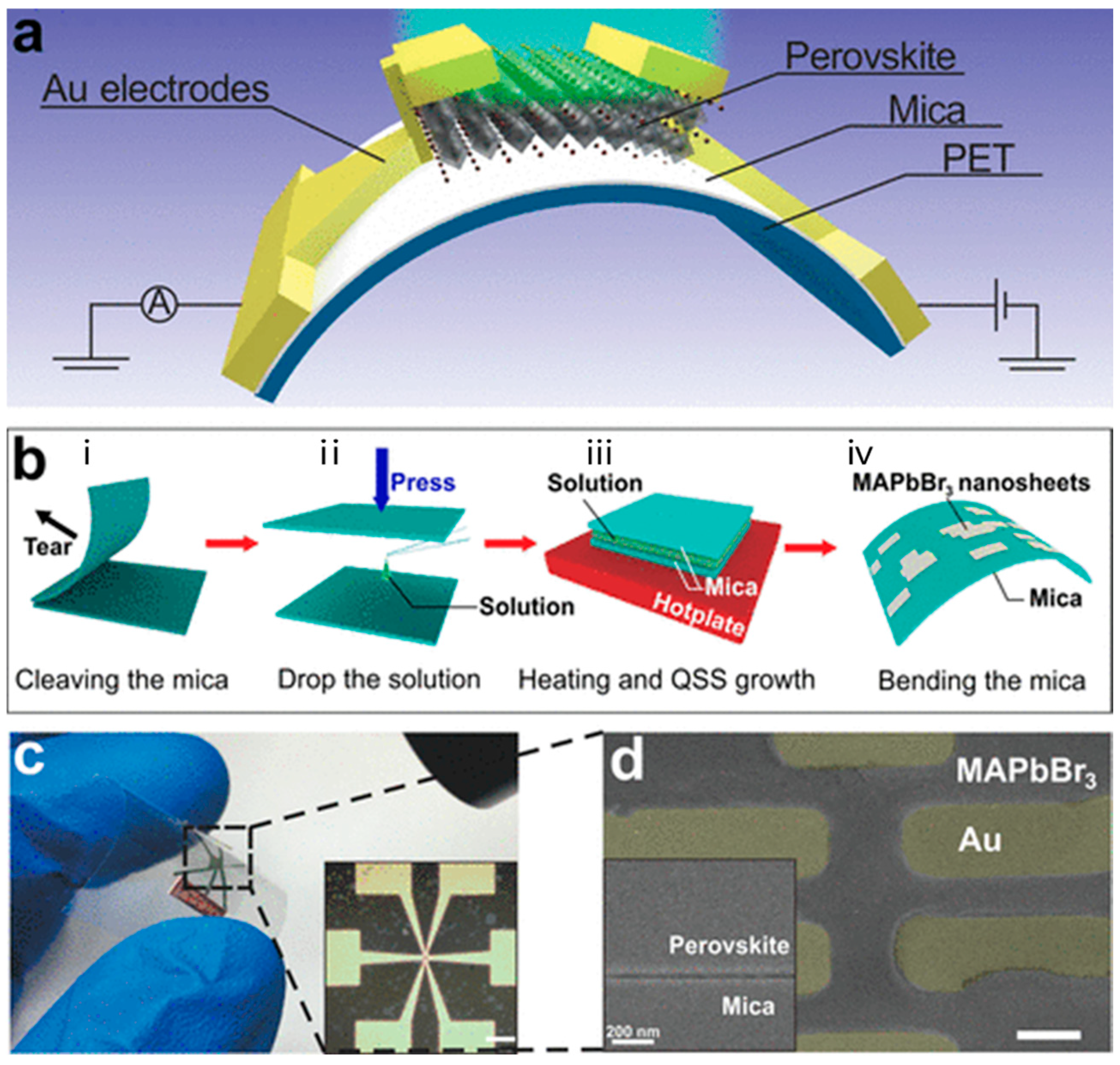 Recent Progress in Photodetectors: From Materials to Structures and ...