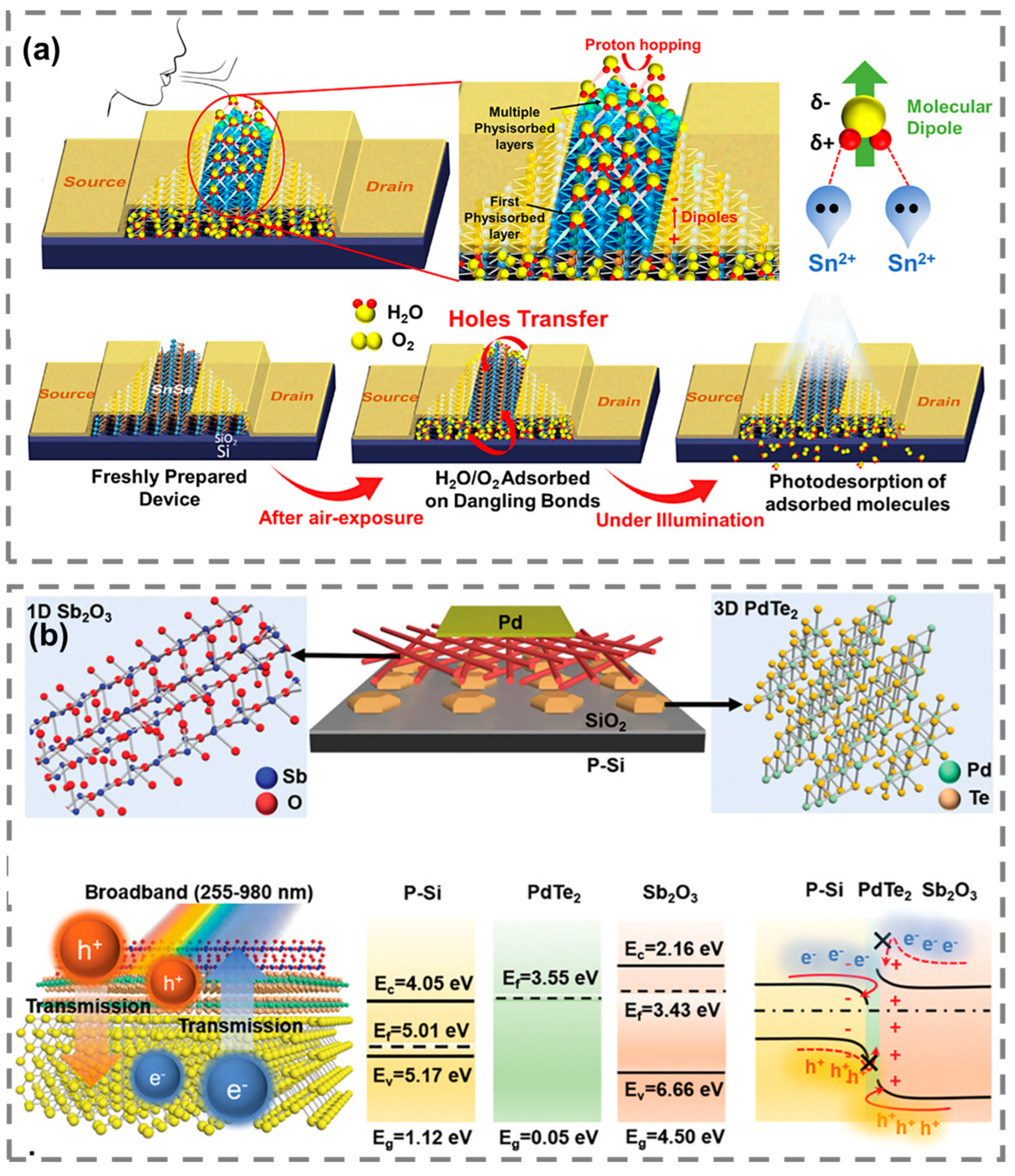 Recent Progress in Photodetectors: From Materials to Structures and ...