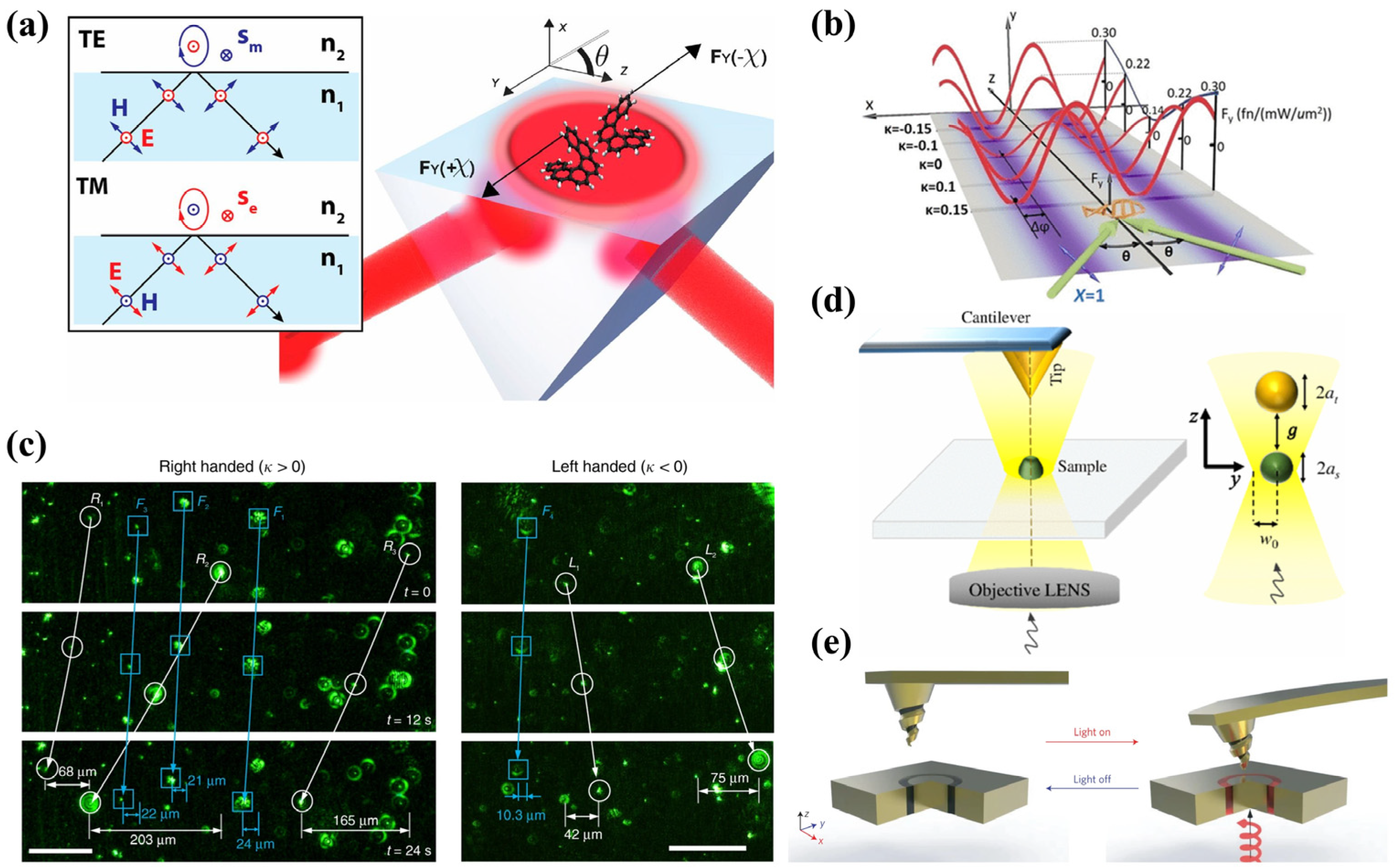 Optical Forces on Chiral Particles: Science and Applications | MDPI