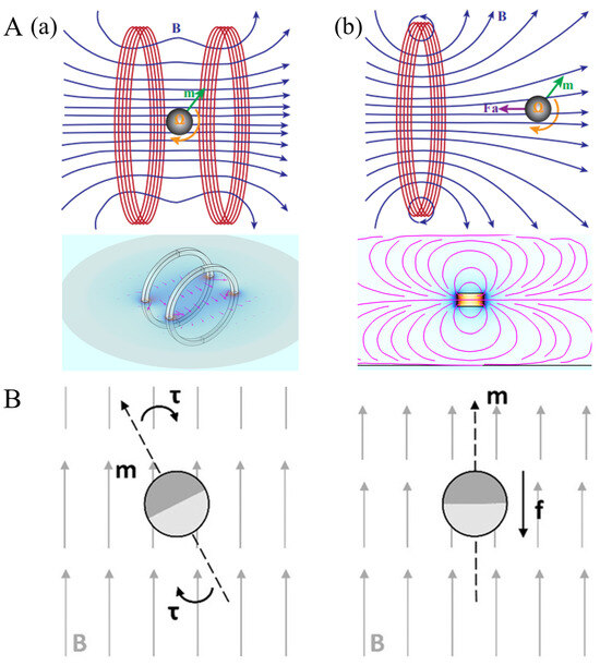Advances in Magnetically Controlled Medical Robotics: A Review of ...