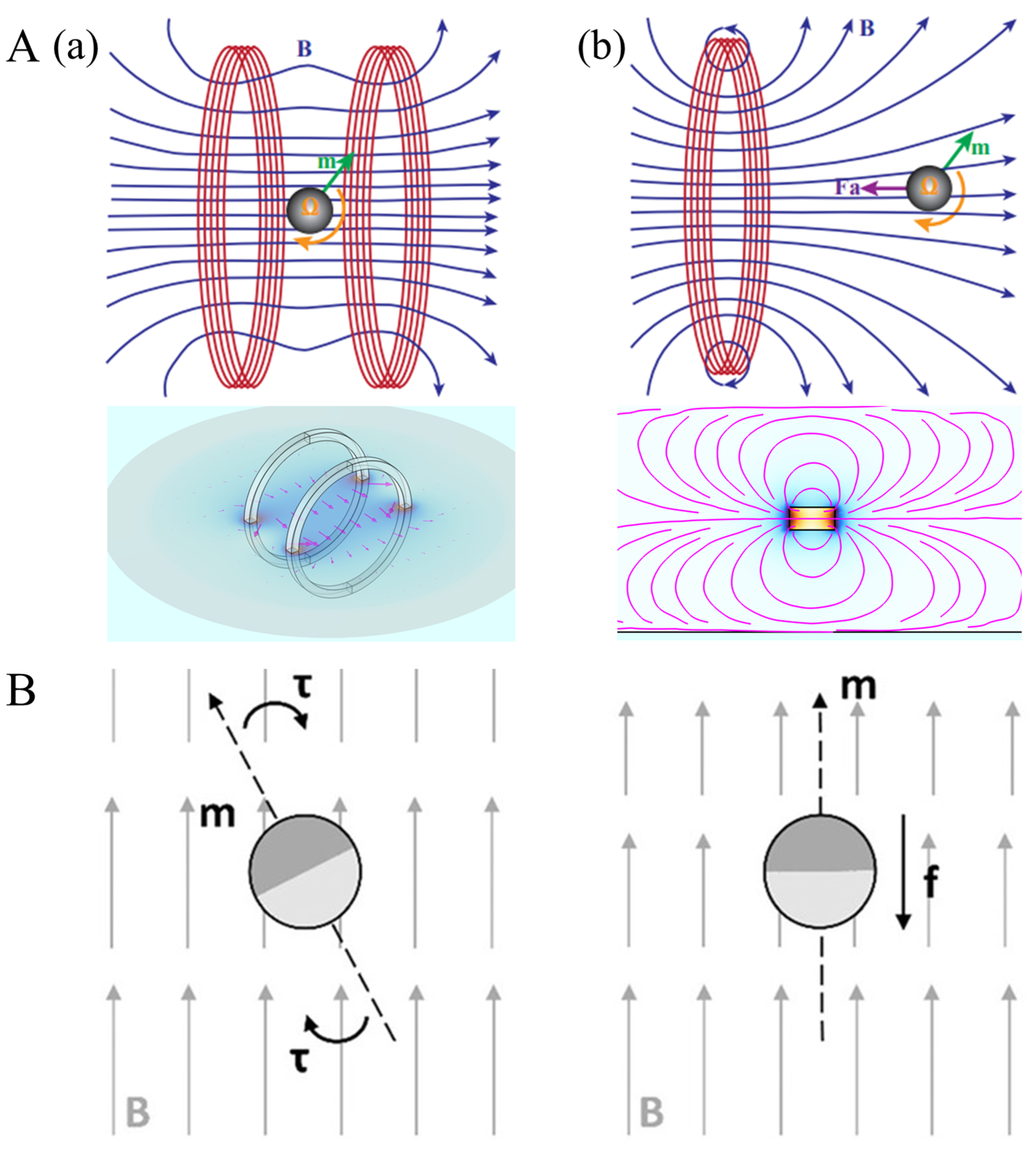 Advances in Magnetically Controlled Medical Robotics: A Review of ...