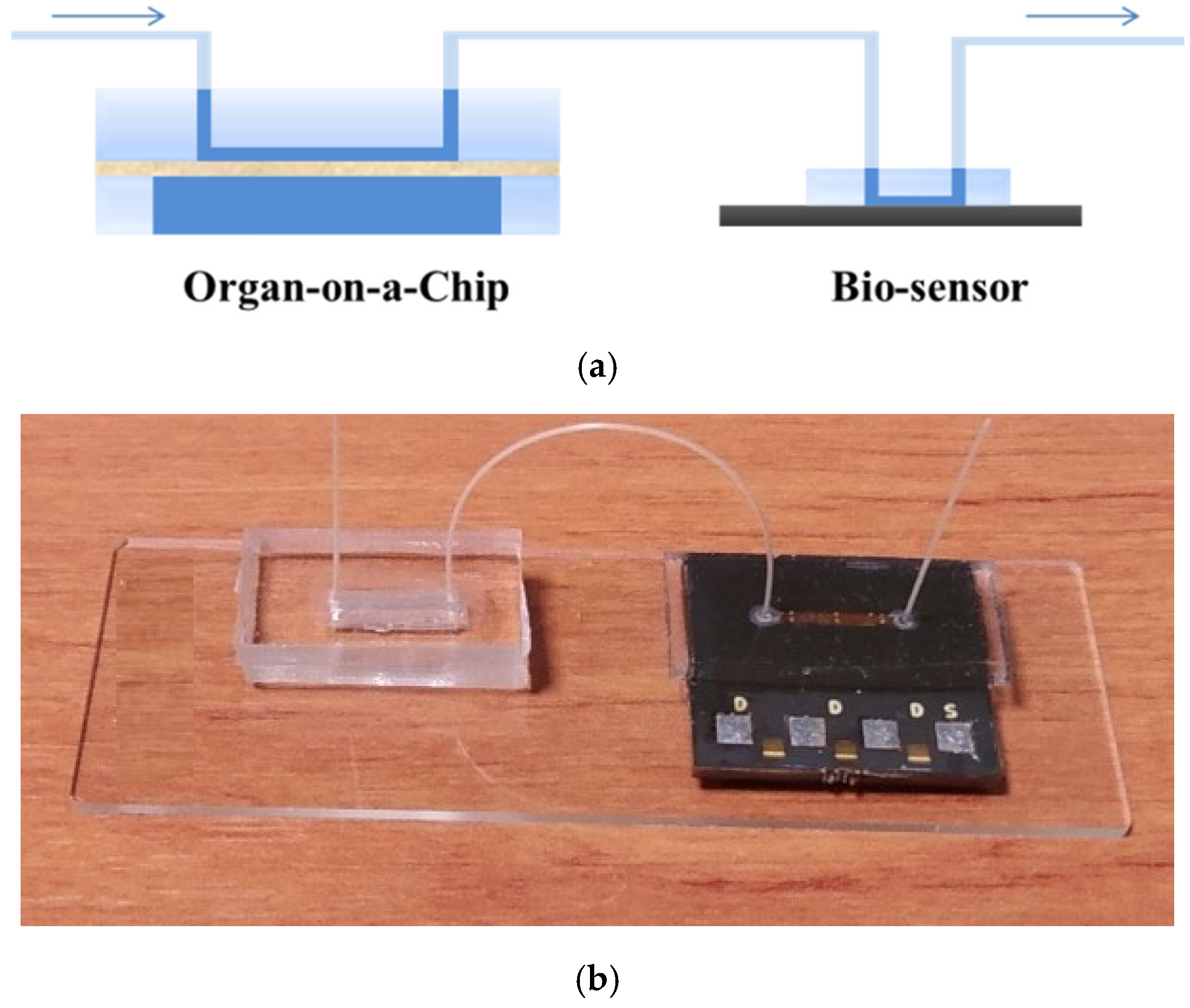 An Organ-on-a-Chip Modular Platform with Integrated Immunobiosensors ...