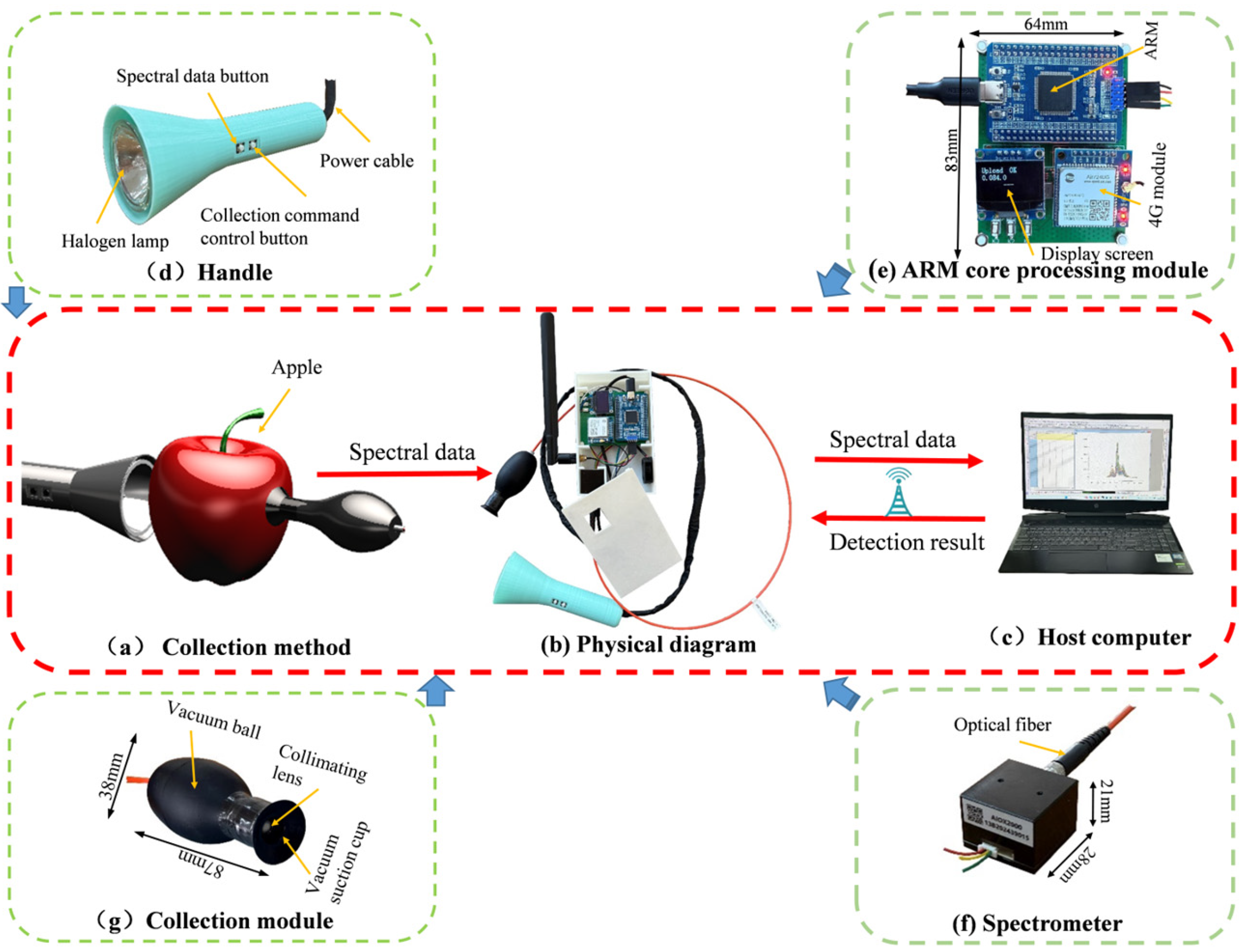 Design of a Portable Nondestructive Instrument for Apple Watercore ...