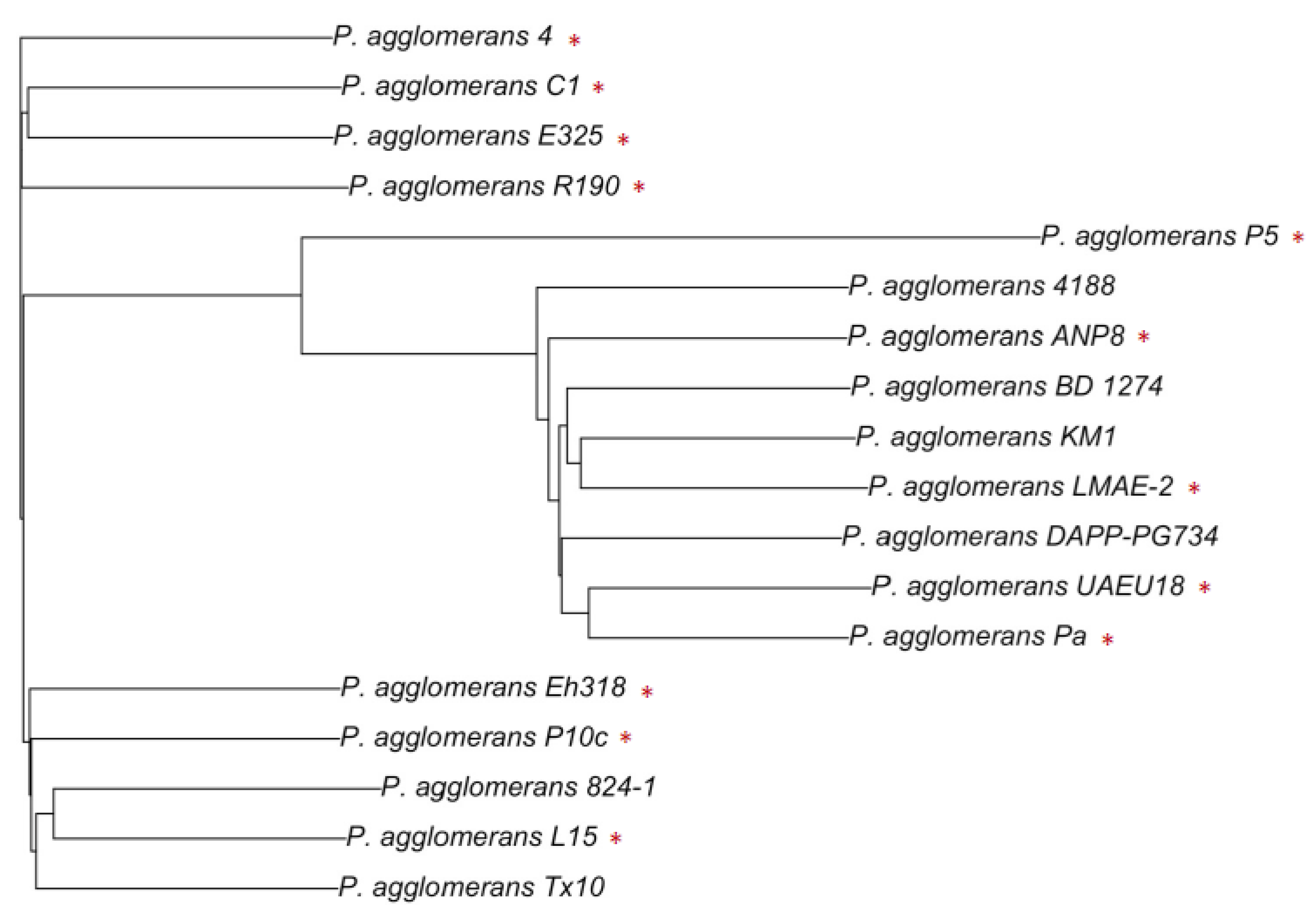 Opposite Sides of Pantoea agglomerans and Its Associated Commercial ...