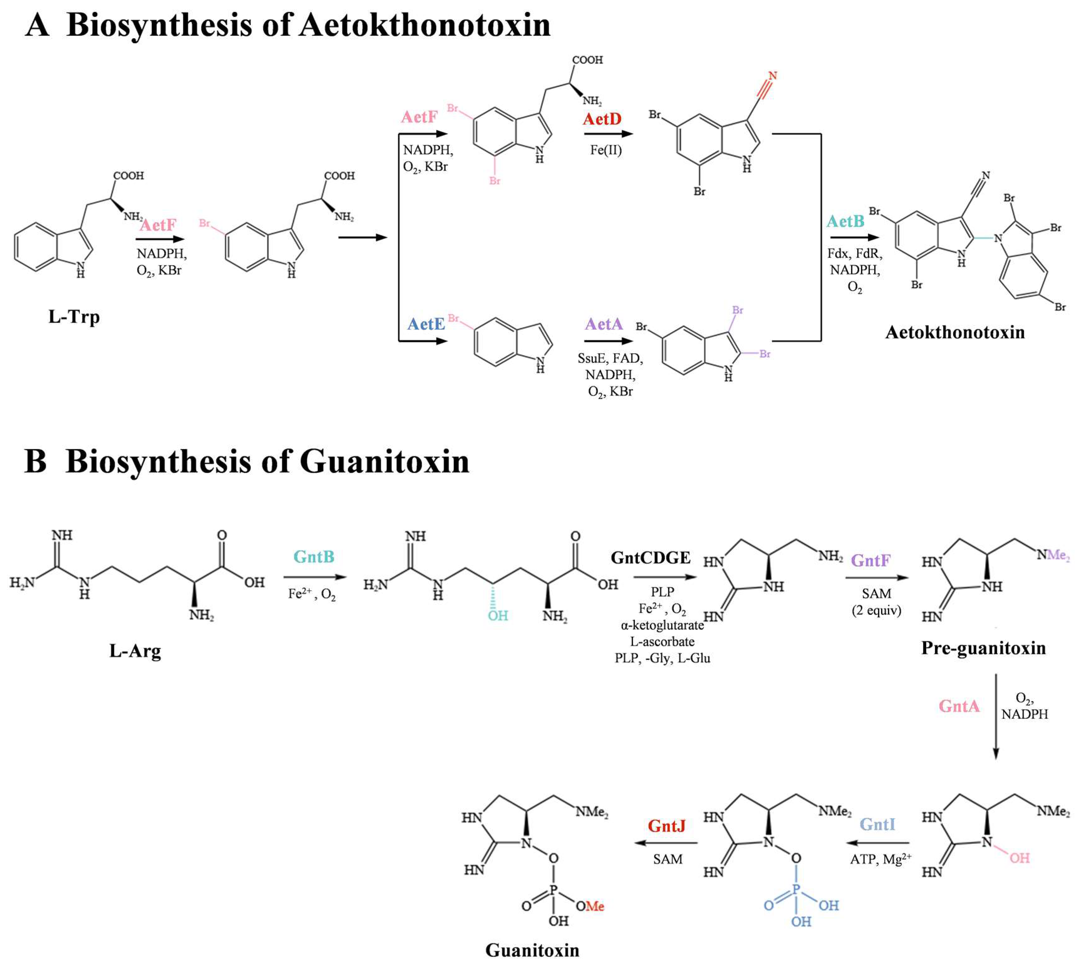 Recent Advances in Cyanotoxin Synthesis and Applications: A ...