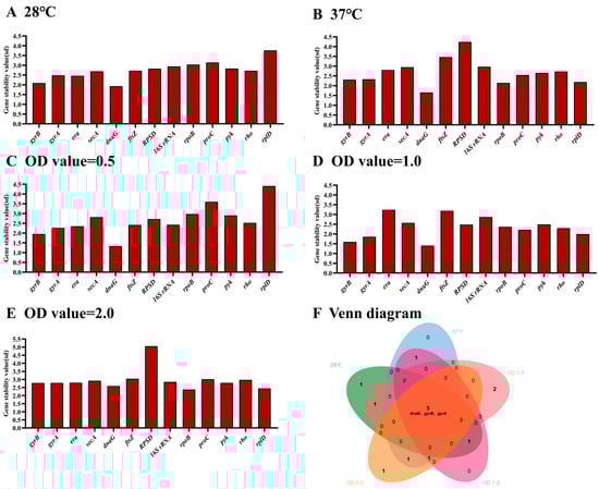 Reference Genes for Expression Analyses by qRT-PCR in Enterobacter ...
