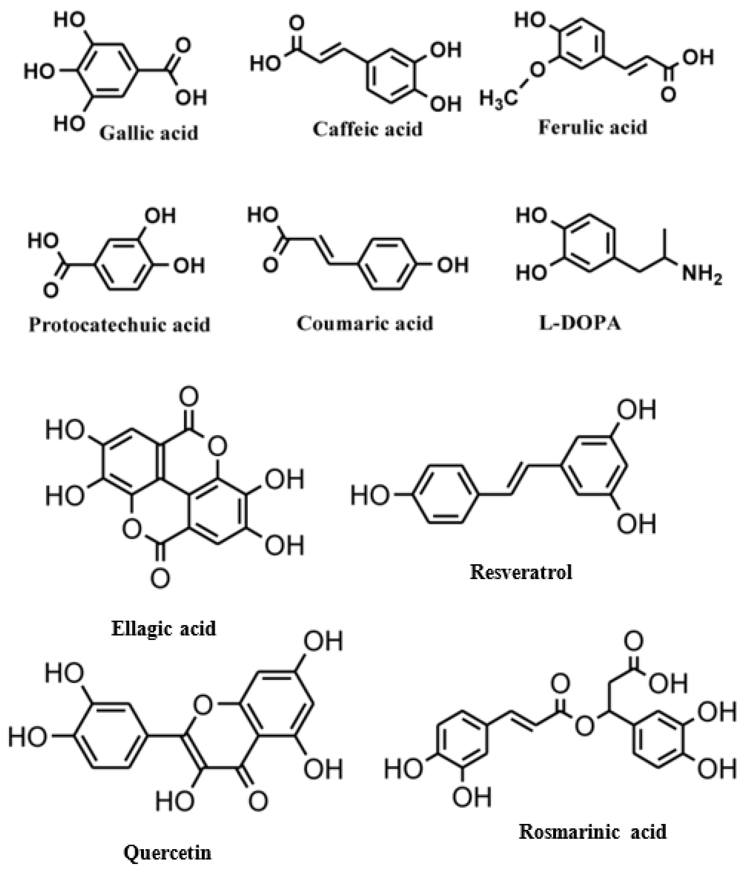 Antibacterial, Antifungal, Antiviral Activity, and Mechanisms of Action of Plant Polyphenols | MDPI