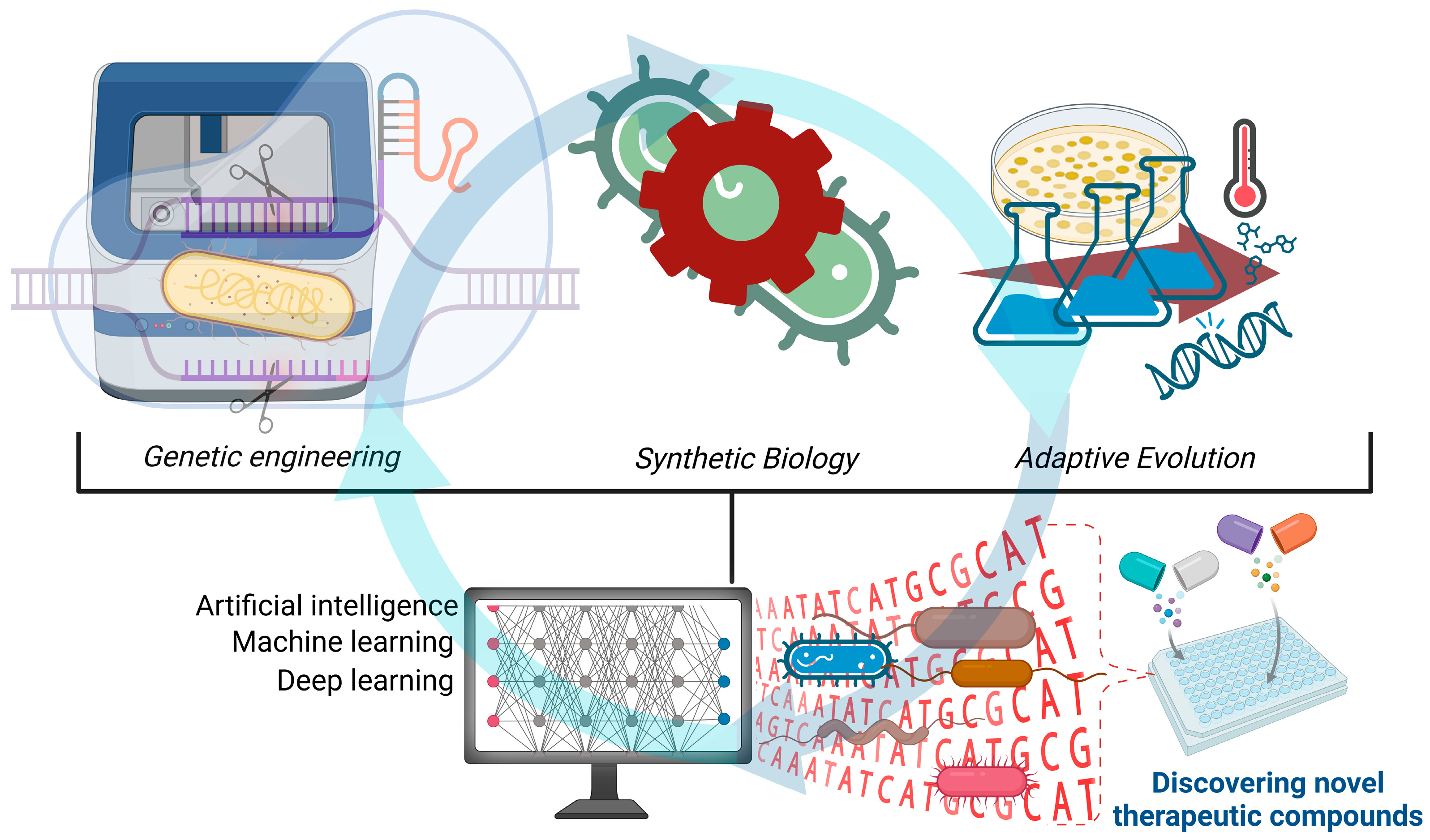 Engineering Useful Microbial Species for Pharmaceutical Applications | MDPI