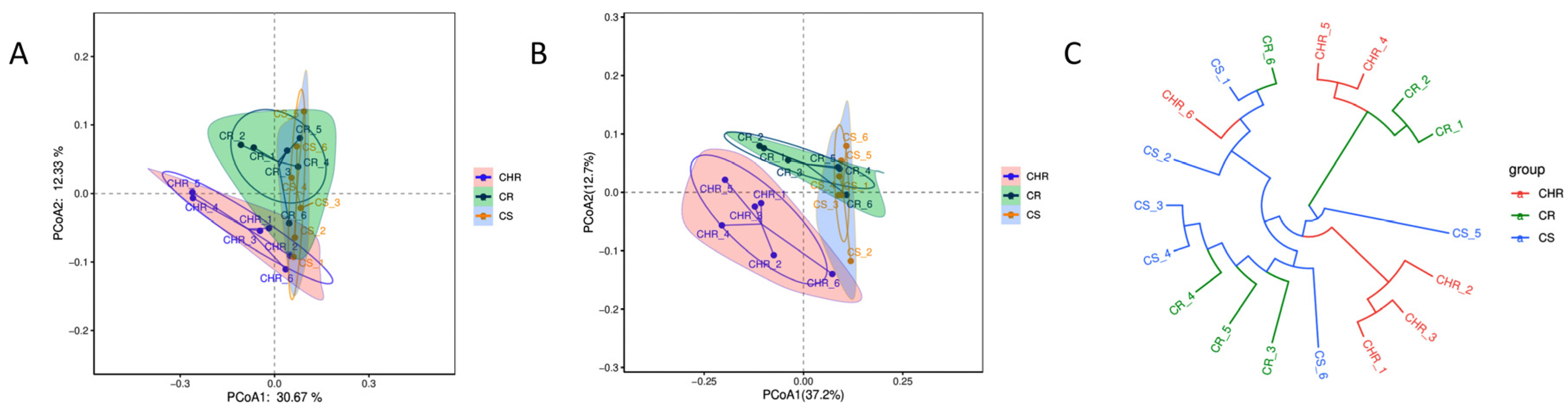 Influence of Soil Physicochemical Properties and Inter-Root Microbial ...