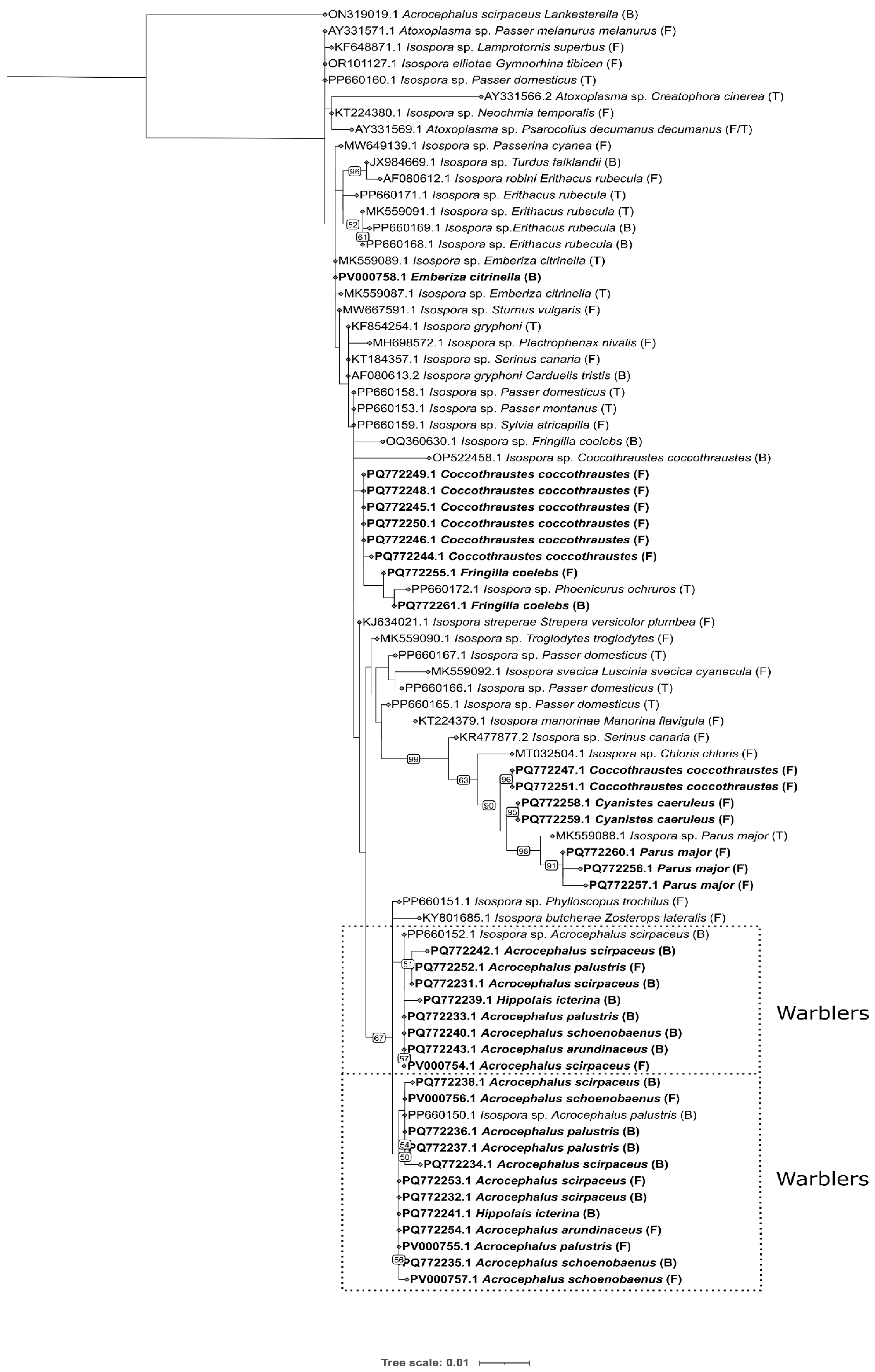 Lankesterella and Isospora Coccidians: Differences in Host Specificity ...