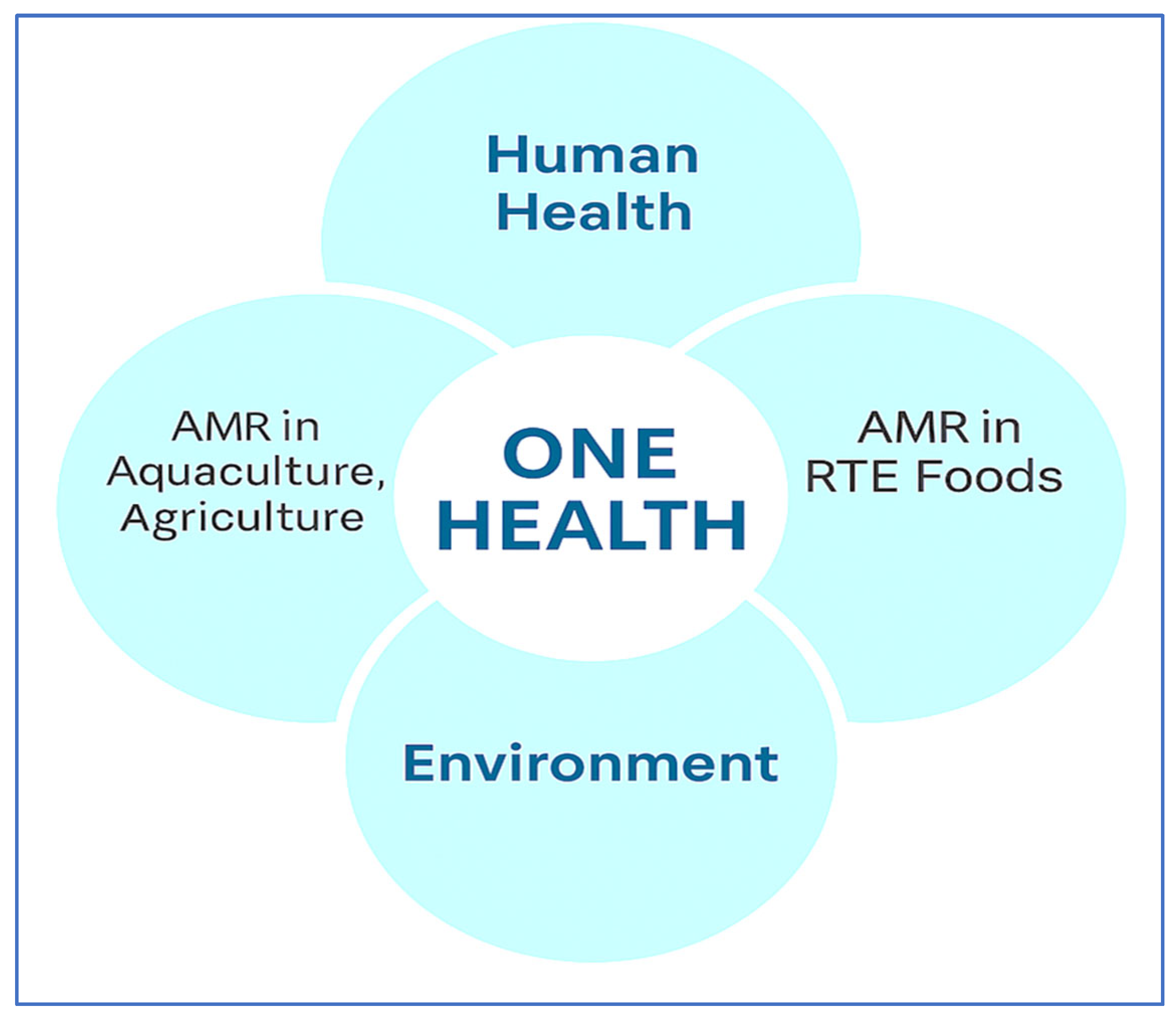 Microbial Food Safety and Antimicrobial Resistance in Foods: A Dual ...