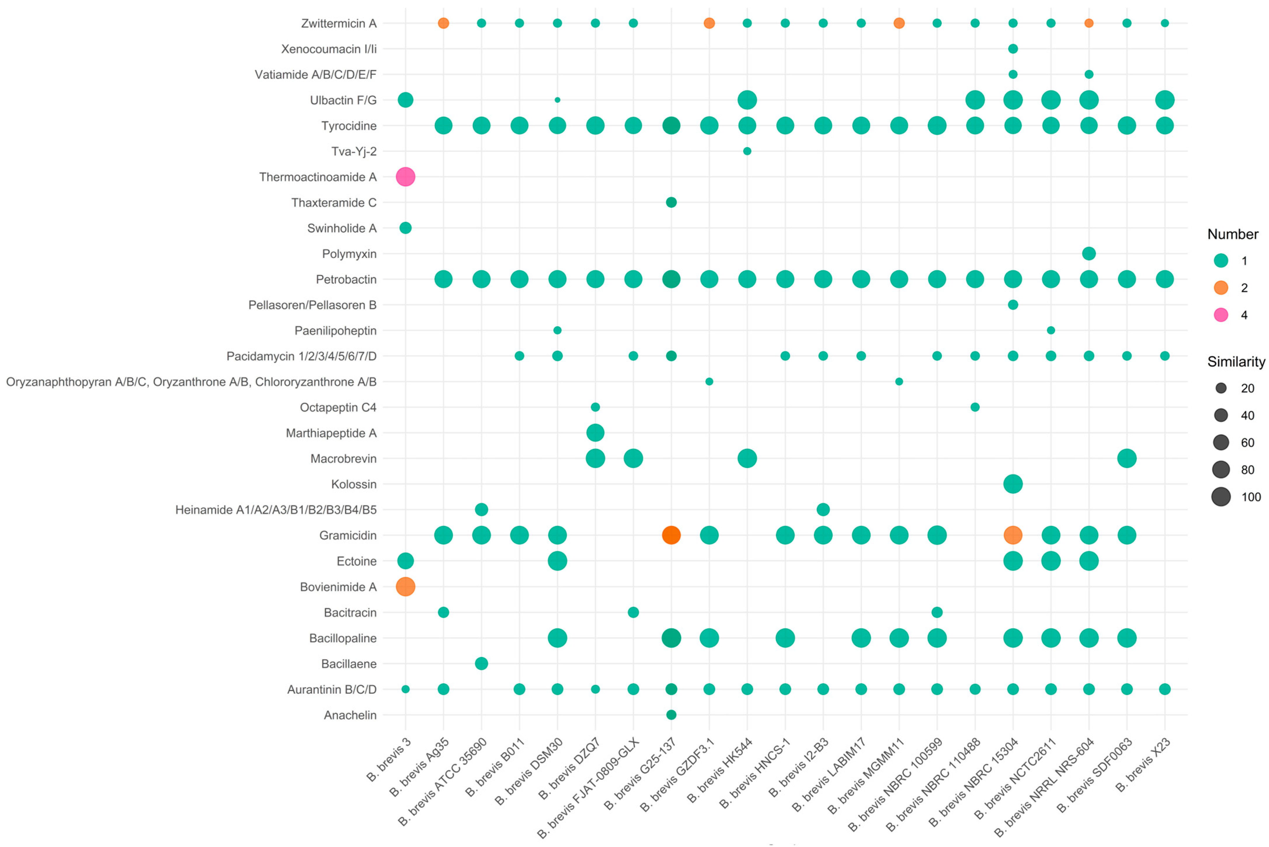 Comparative Genomic Analysis of Brevibacillus brevis: Insights into Pan ...