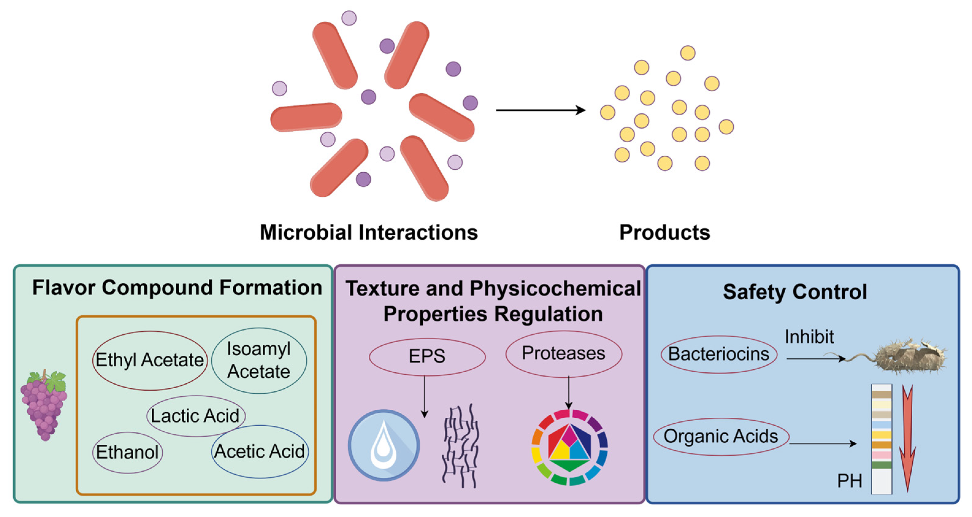 Multi-Omics Insights into Microbial Interactions and Fermented Food ...