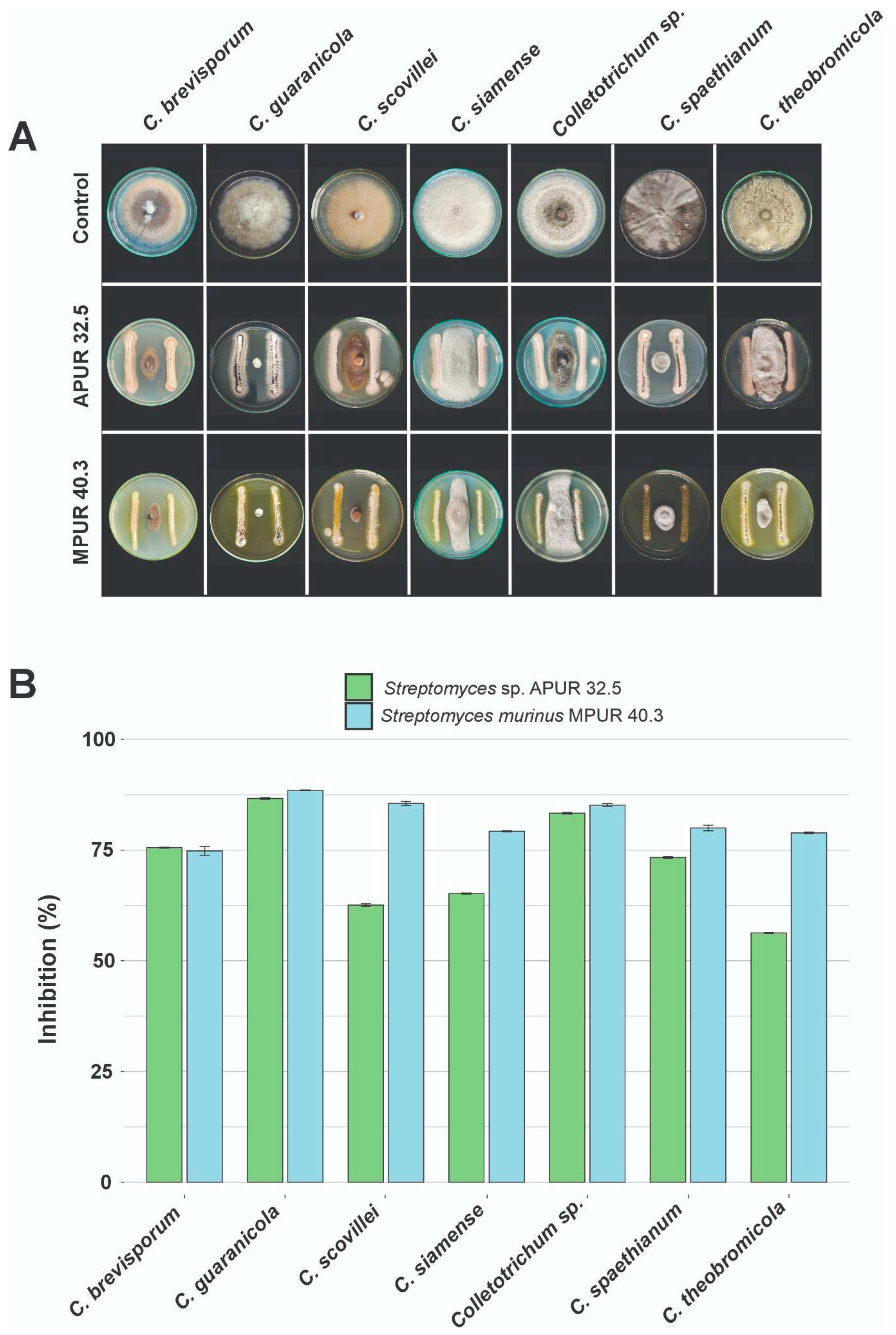 Streptomyces Strains from Amazonian Sediments as Plant Growth Promoters ...