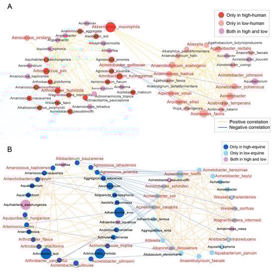 High-Altitude Extreme Environments Drive Convergent Evolution of Skin ...