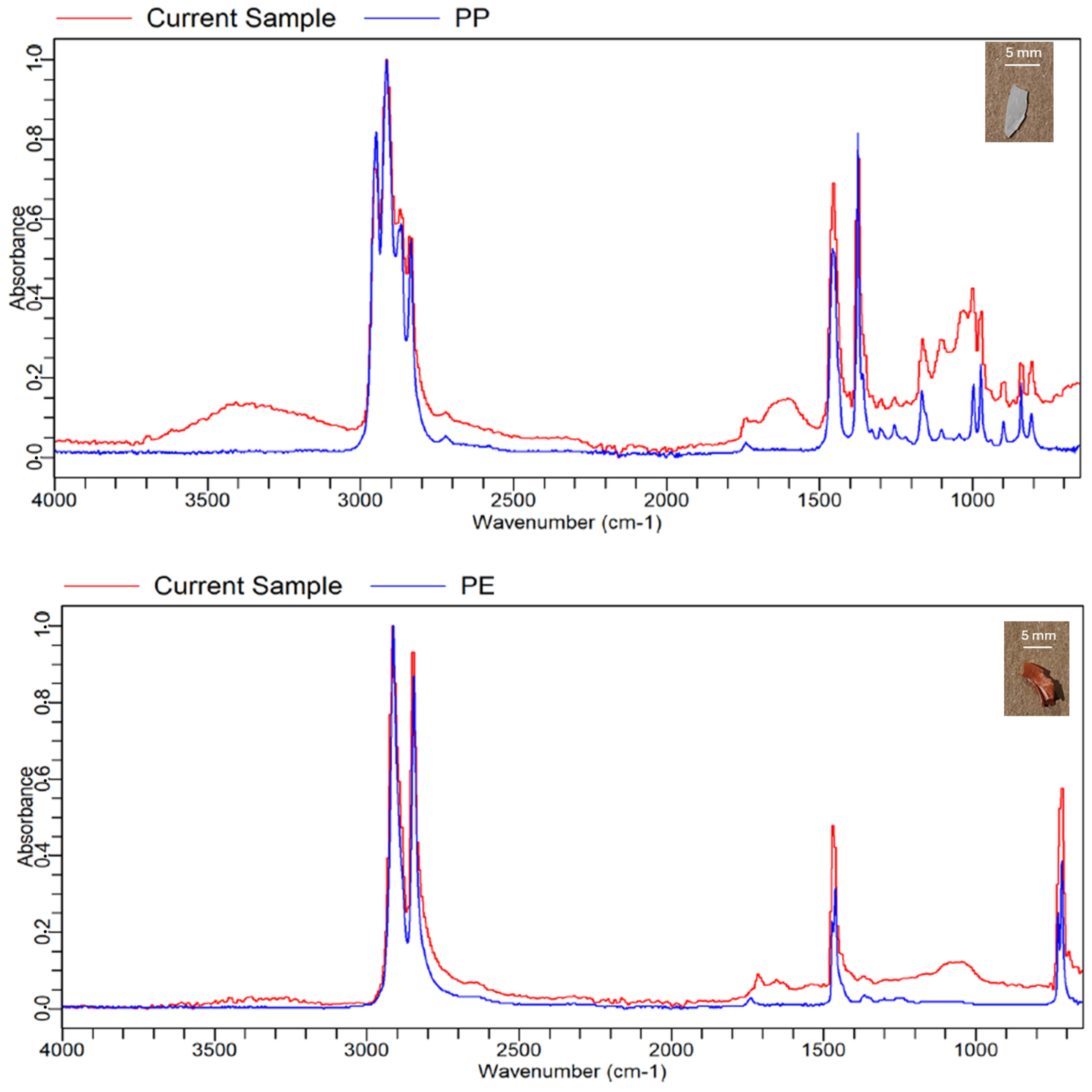 Citizen Science for Assessment of Microplastics on Beaches: A Case ...