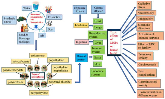 Microplastics and Human Health: A Comprehensive Review on Exposure ...