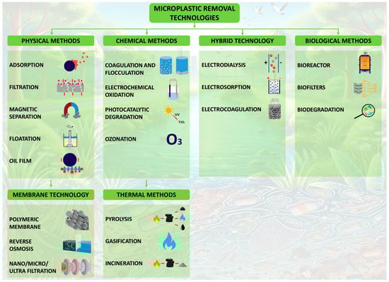 Beyond Microplastics: Analytical Boundaries, Real-World Barriers, and ...