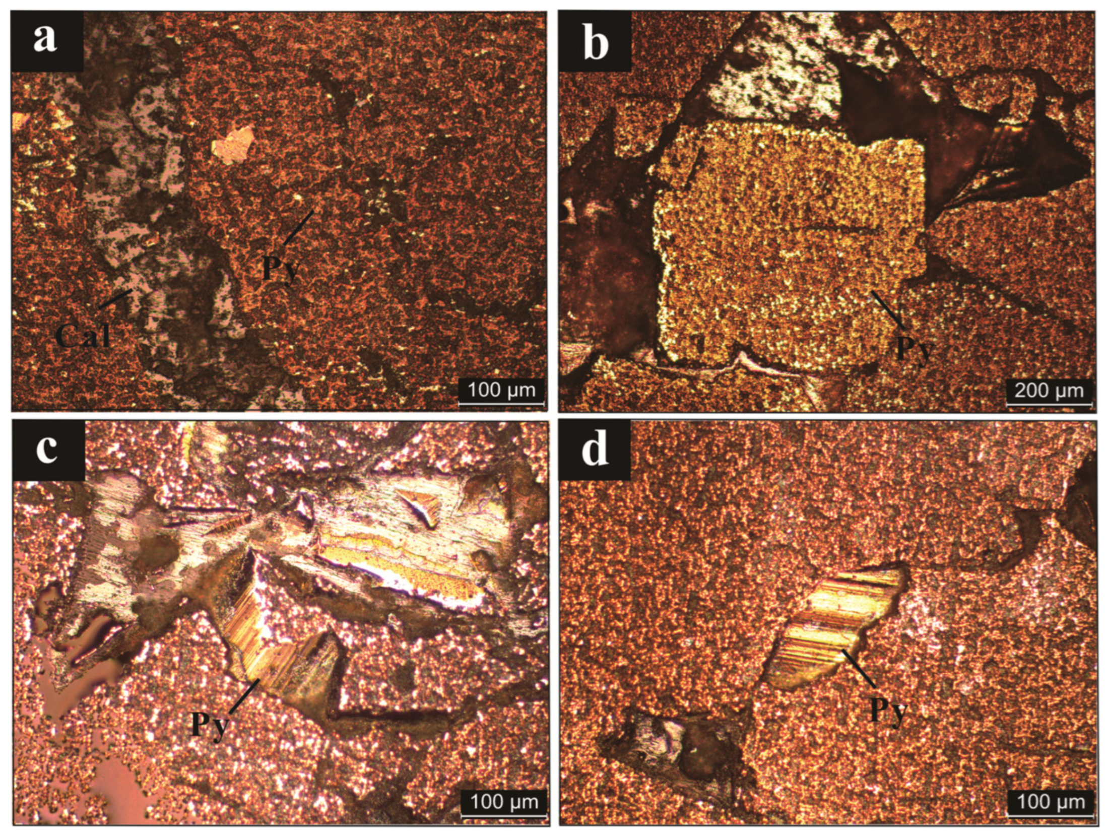 Mineralogical Characteristics and Genetic Types of Pyrite with ...