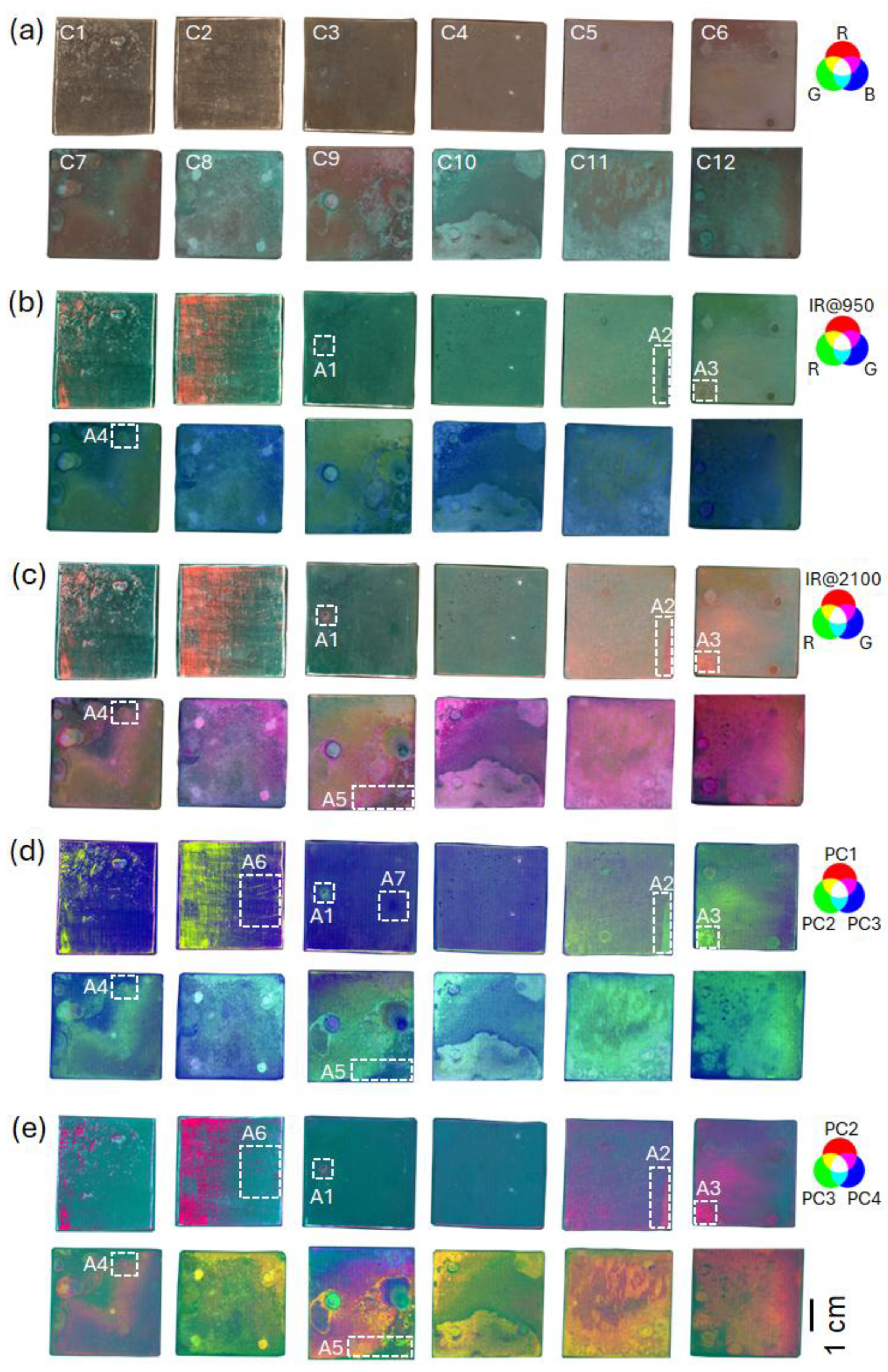 Mapping Bronze Disease Onset by Multispectral Reflectography | MDPI
