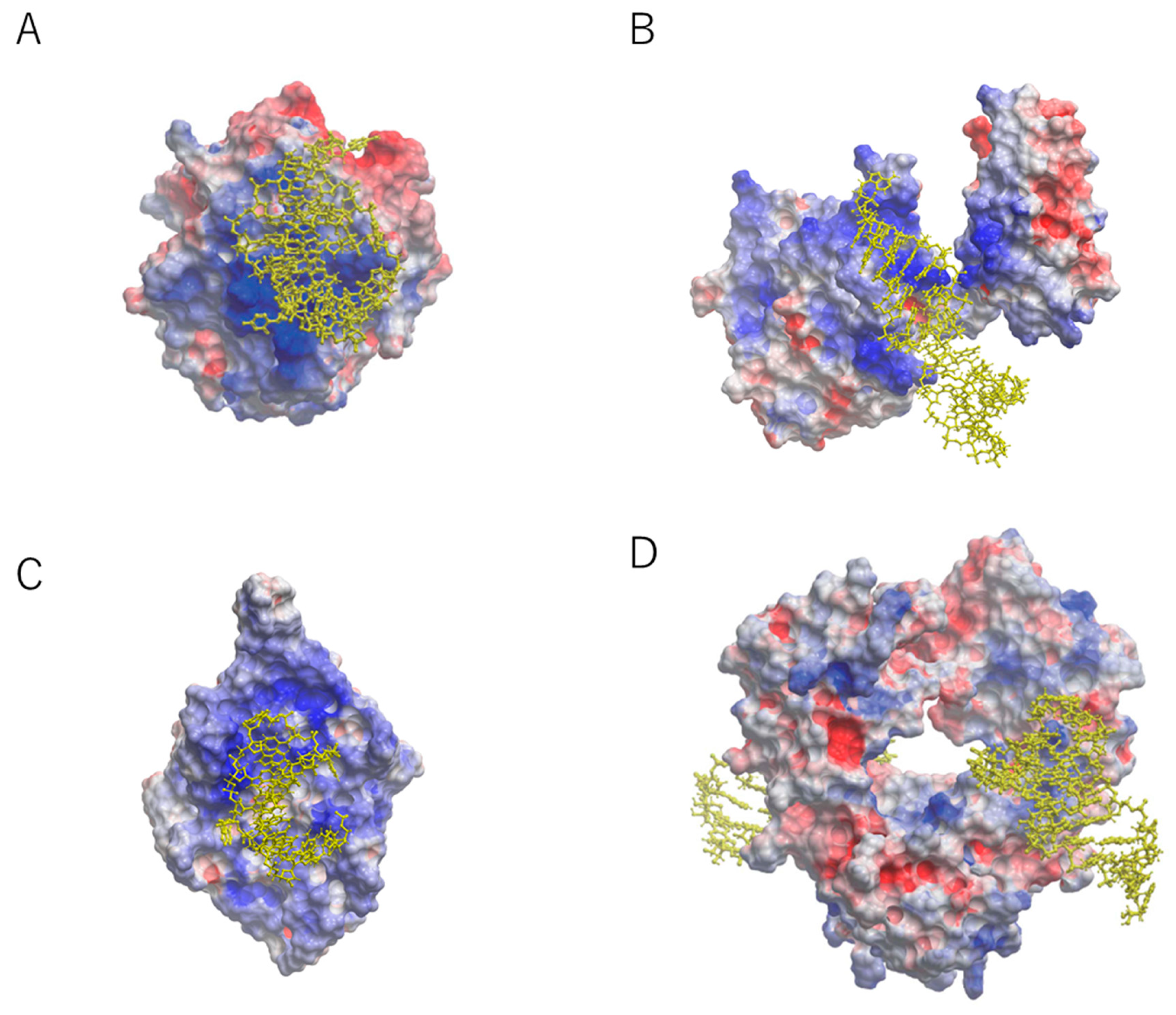 Aptamers: A Review of Their Chemical Properties and Modifications for ...