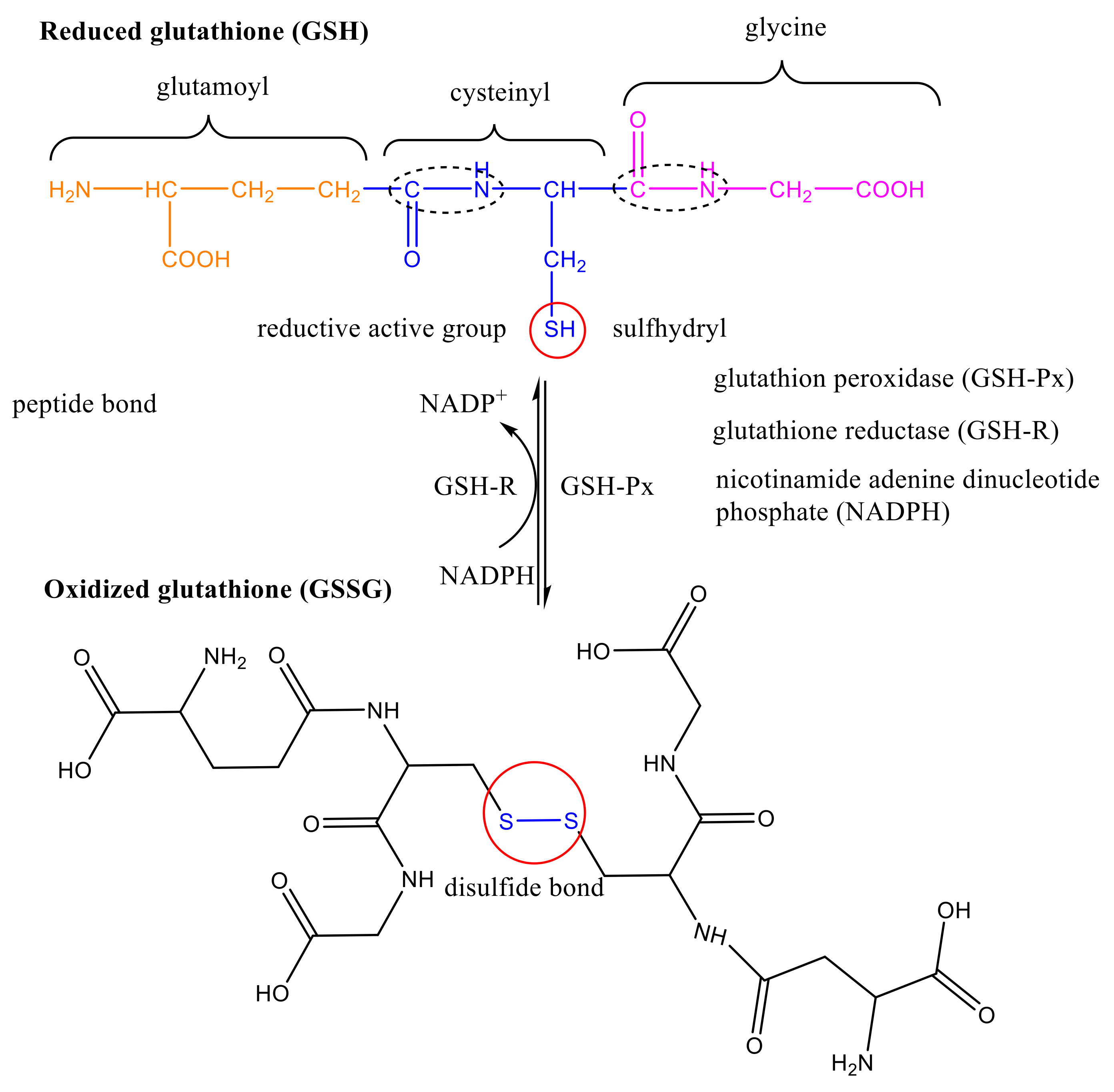 Nano-Drug Design Based on the Physiological Properties of Glutathione ...