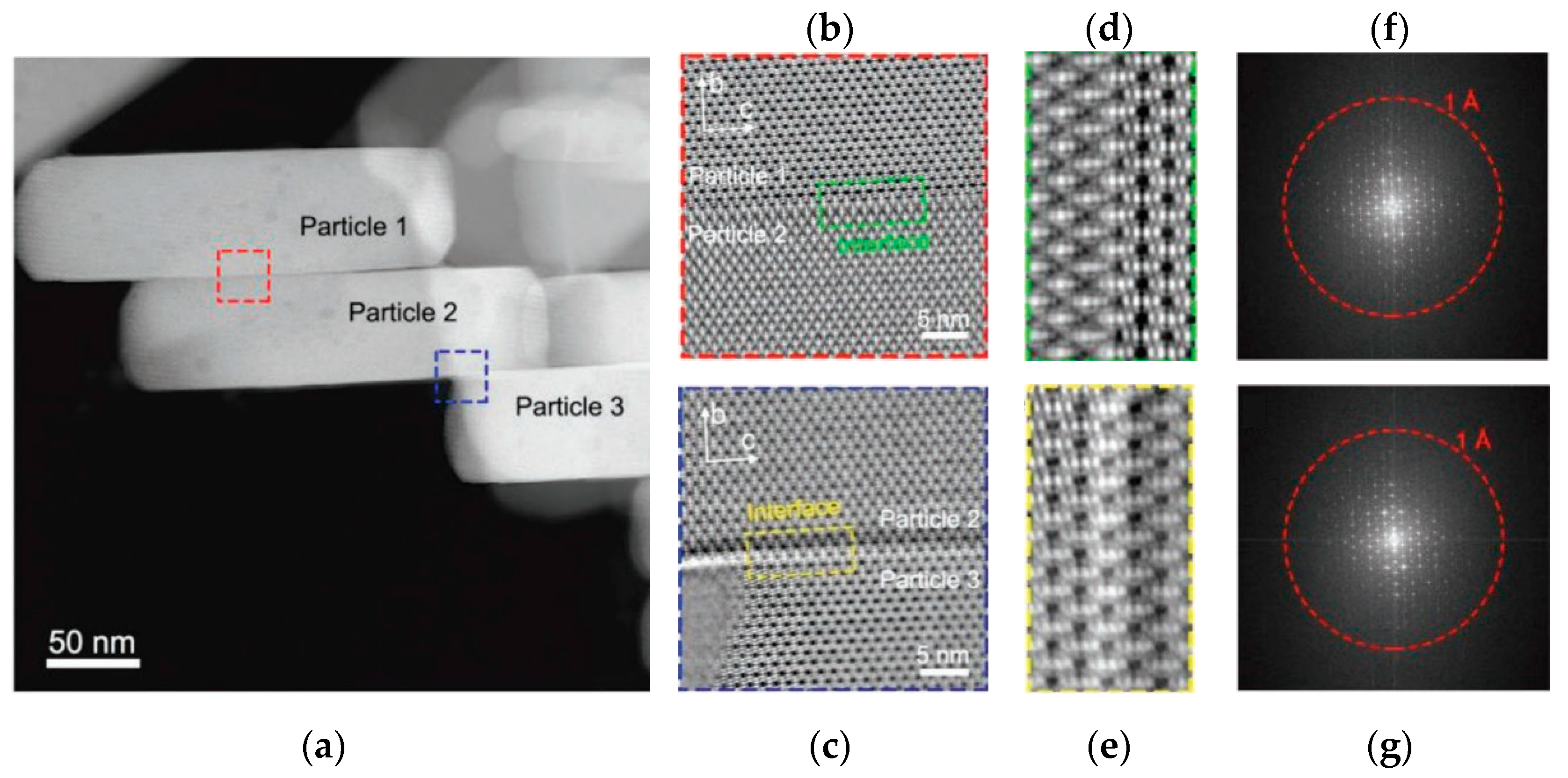 The Development of iDPC-STEM and Its Application in Electron Beam ...