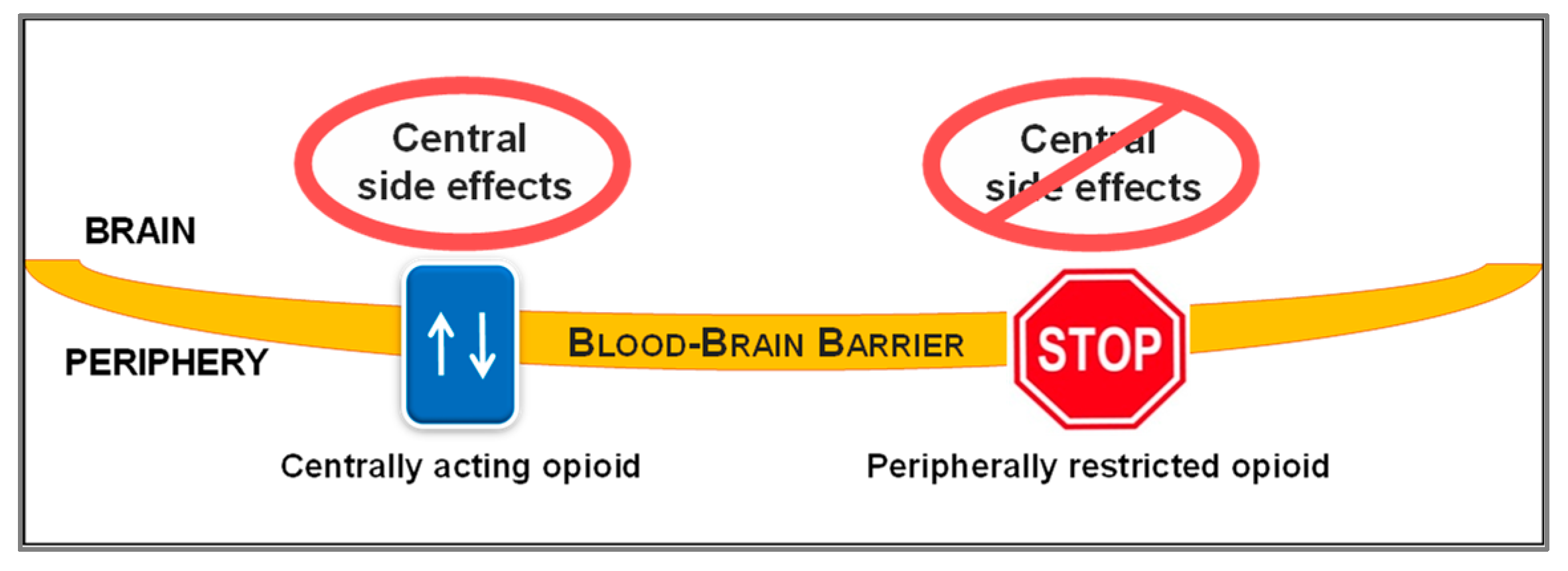 Peripheralization Strategies Applied to Morphinans and Implications for ...