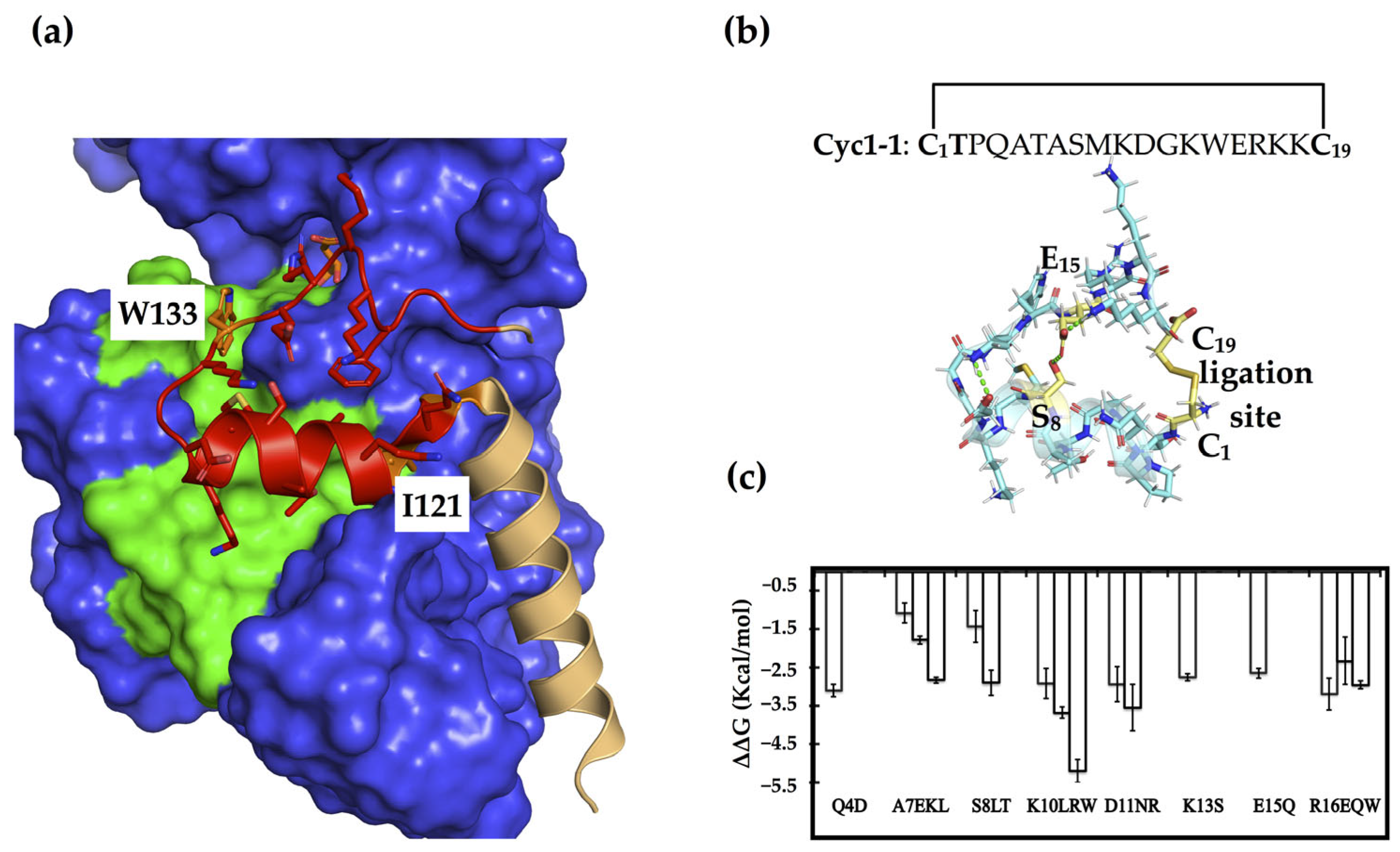 Designing Cyclic-Constrained Peptides to Inhibit Human Phosphoglycerate ...