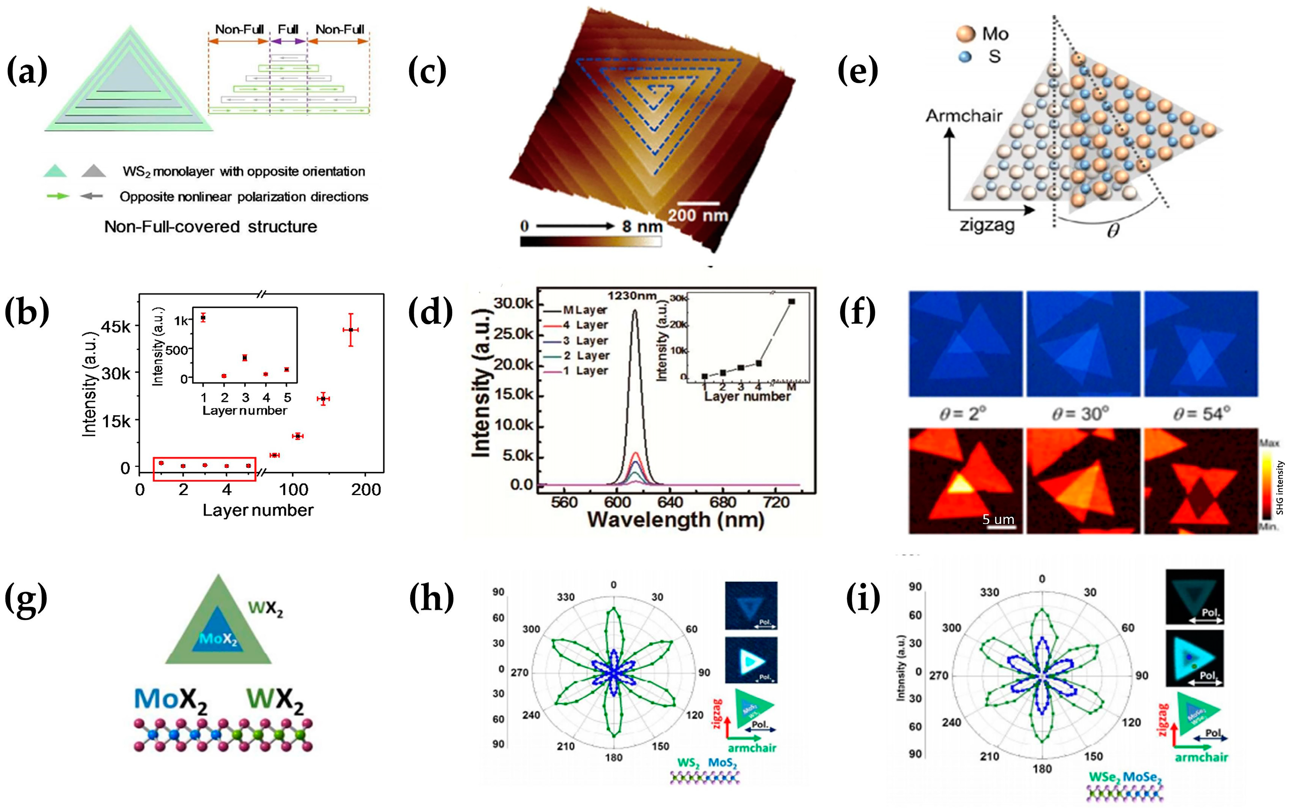 Nonlinear Optical Properties from Engineered 2D Materials | MDPI