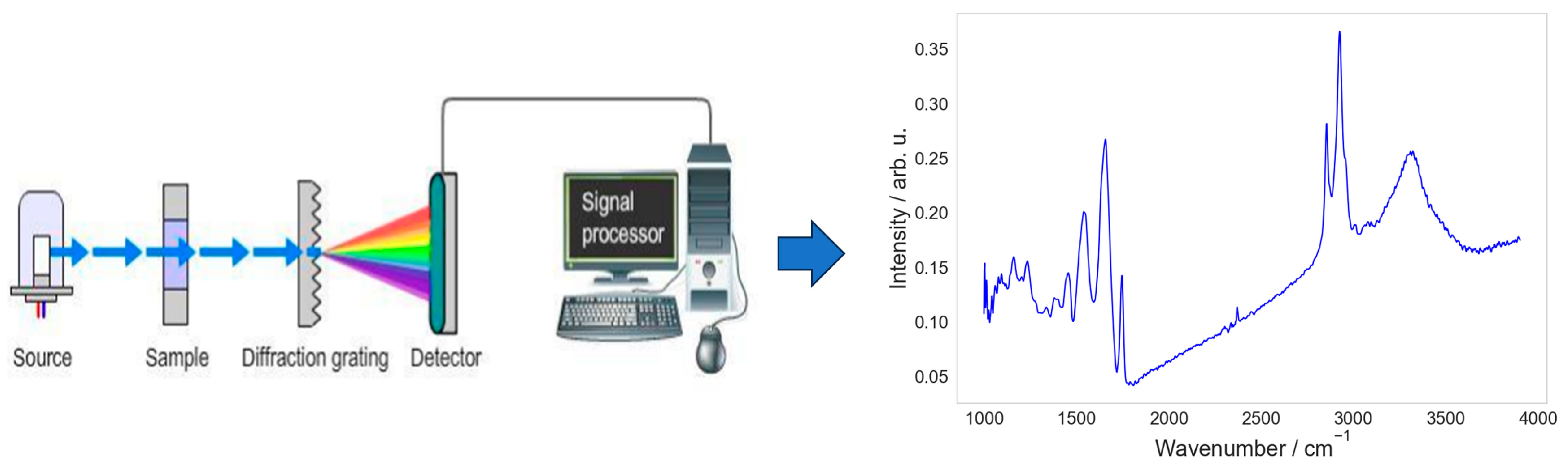 Exploring the Steps of Infrared (IR) Spectral Analysis: Pre-Processing ...