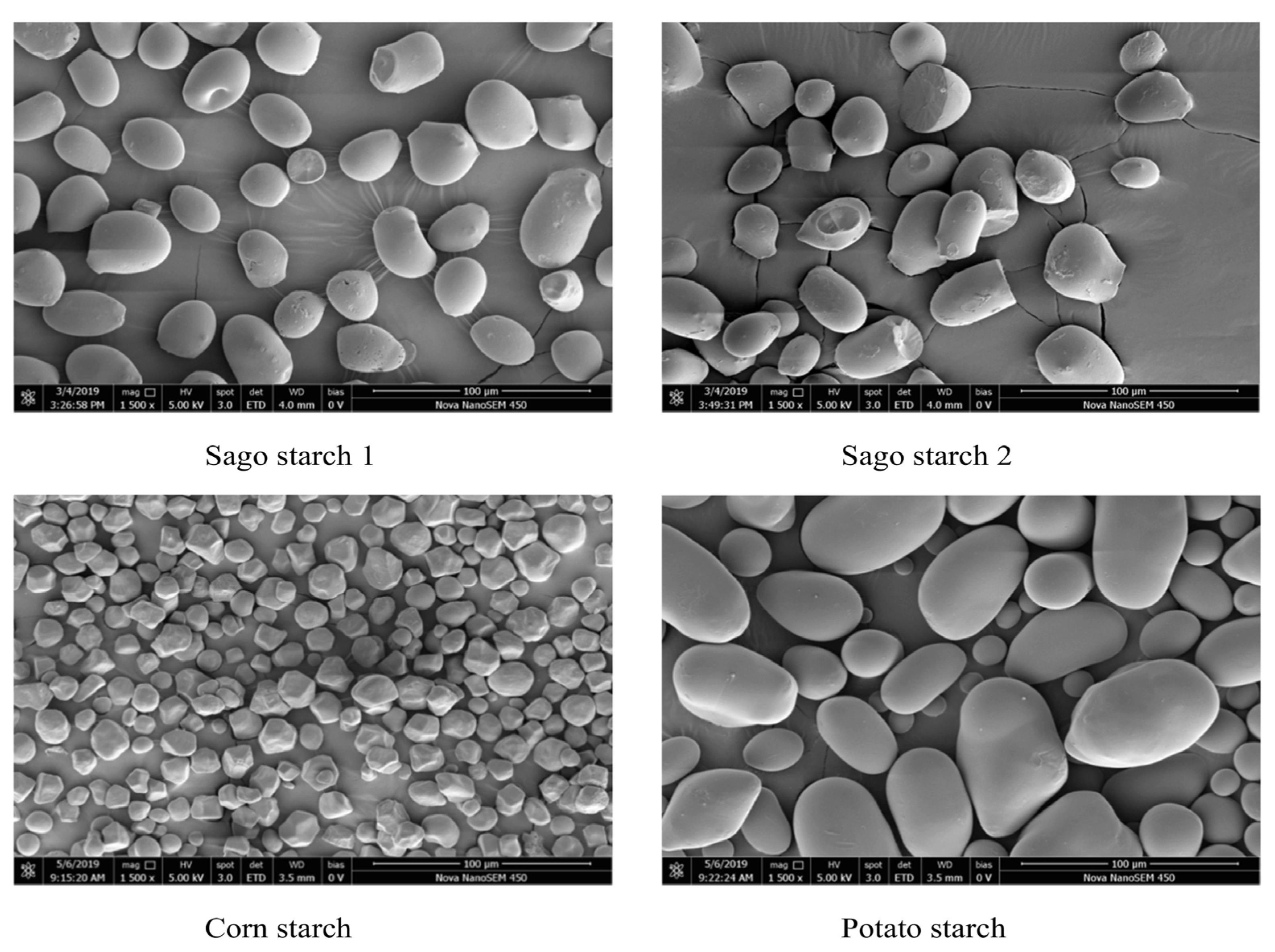 Sodium Starch Glycolate (SSG) from Sago Starch (Metroxylon sago) as a ...