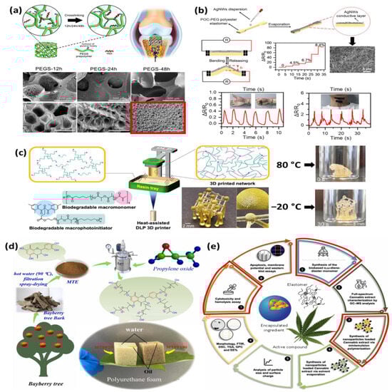 Recent Developments in Synthesis, Properties, Applications and Recycling of Bio-Based Elastomers ...