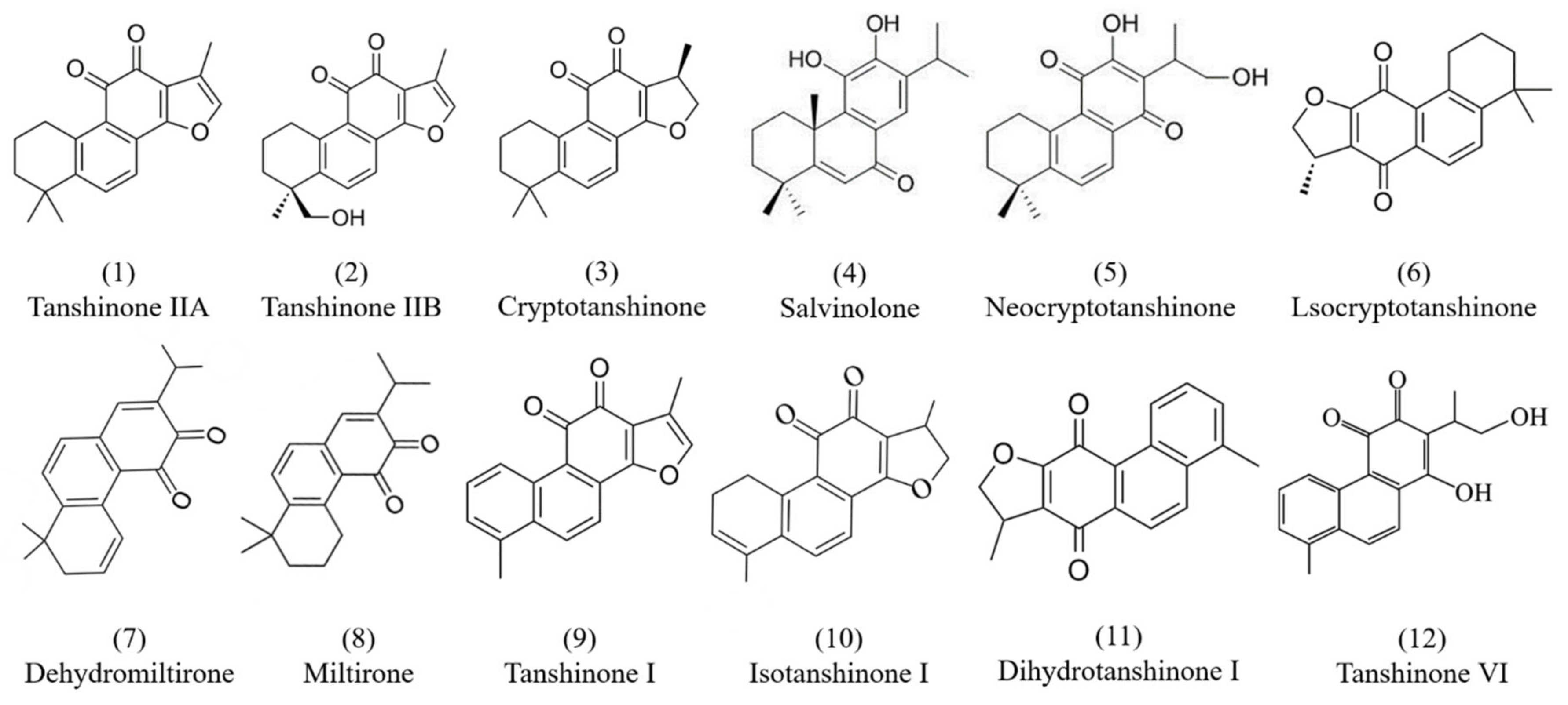 Research Progress on Regulation of Immune Response by Tanshinones and ...