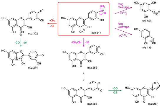 Systematic Characterisation of the Fragmentation of Flavonoids Using ...
